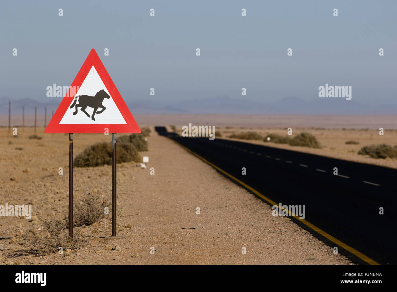 Namib Desert Horse (Equus caballus) warning sign, Namib-Naukluft ...