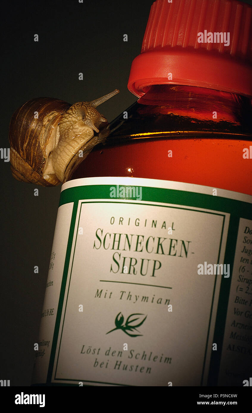 Edible Snail (Helix pomatia) on snail syrup, a traditional bronchitis ...