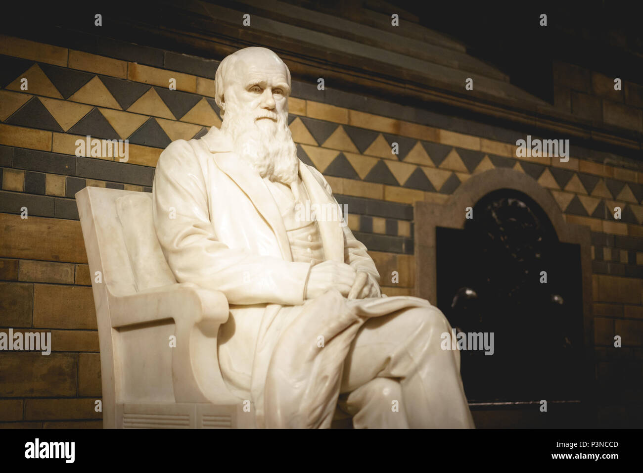 Charles darwin statue natural history hi-res stock photography and ...