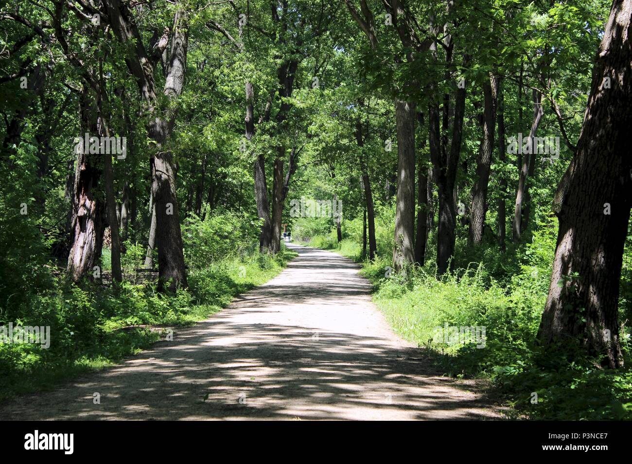 Walking path opening hi-res stock photography and images - Alamy