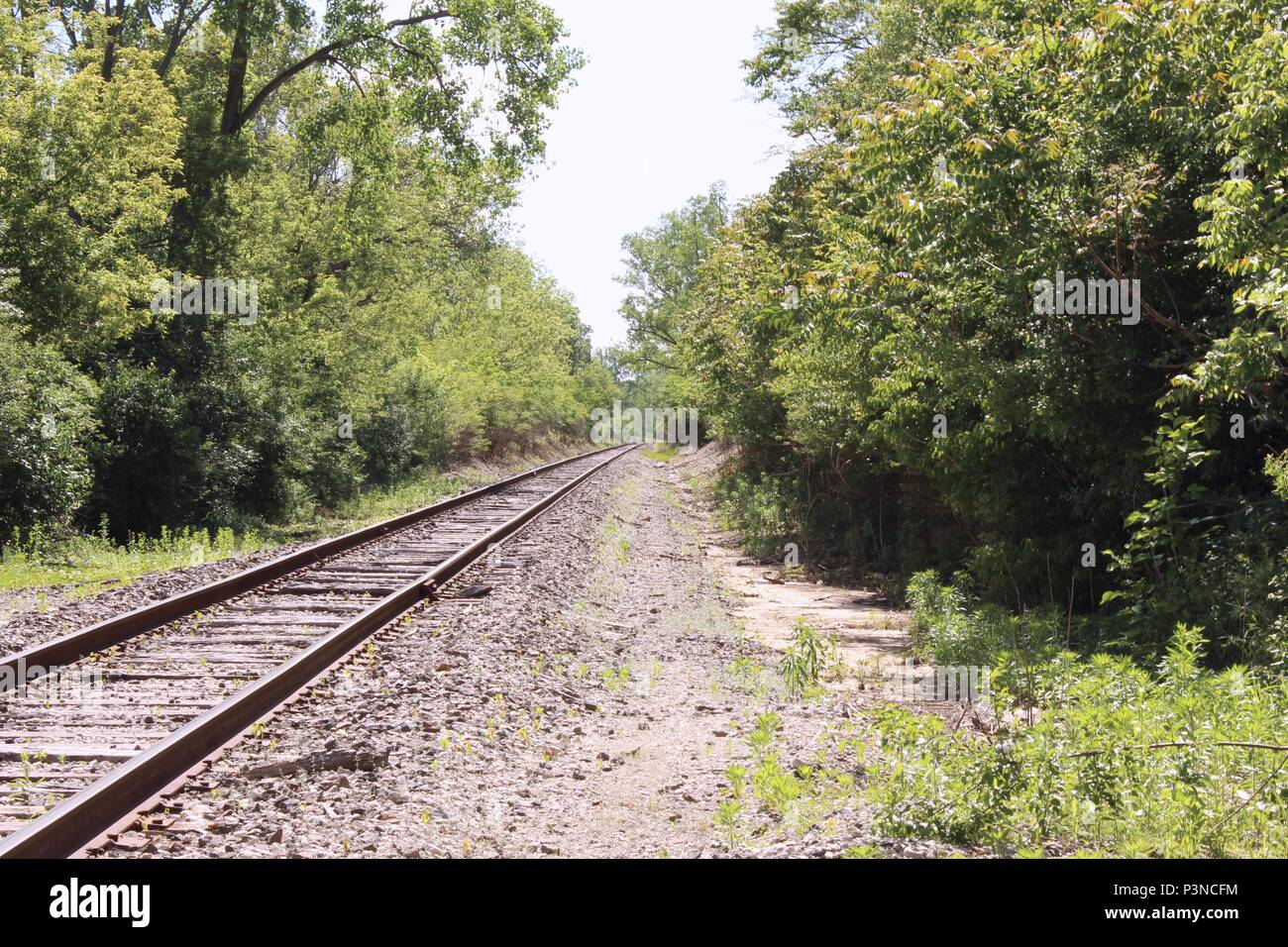 Train tracks forest hi-res stock photography and images - Alamy