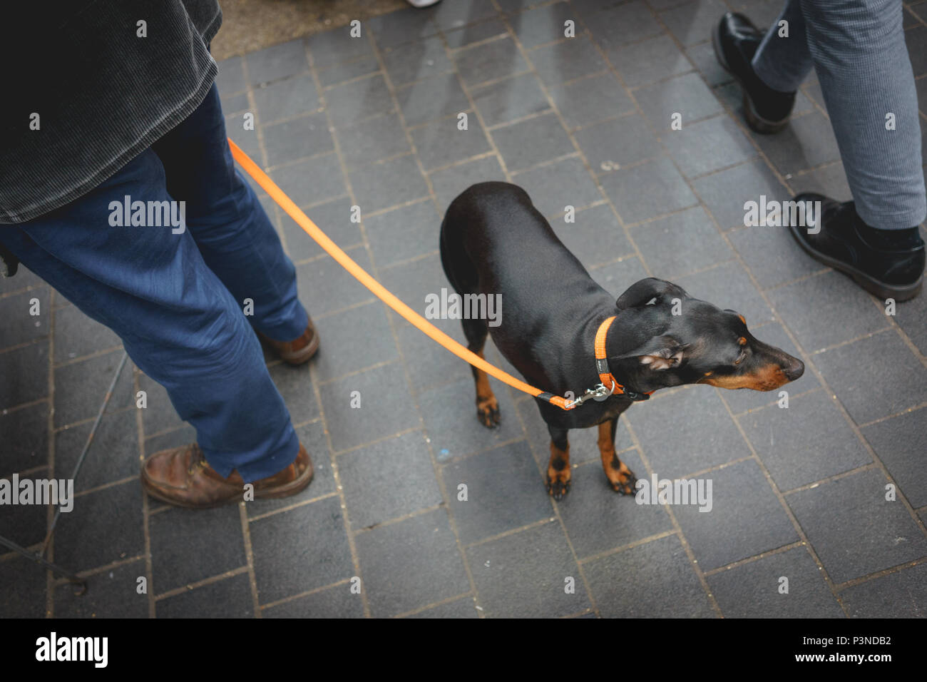 Crowded pavement hi-res stock photography and images - Alamy