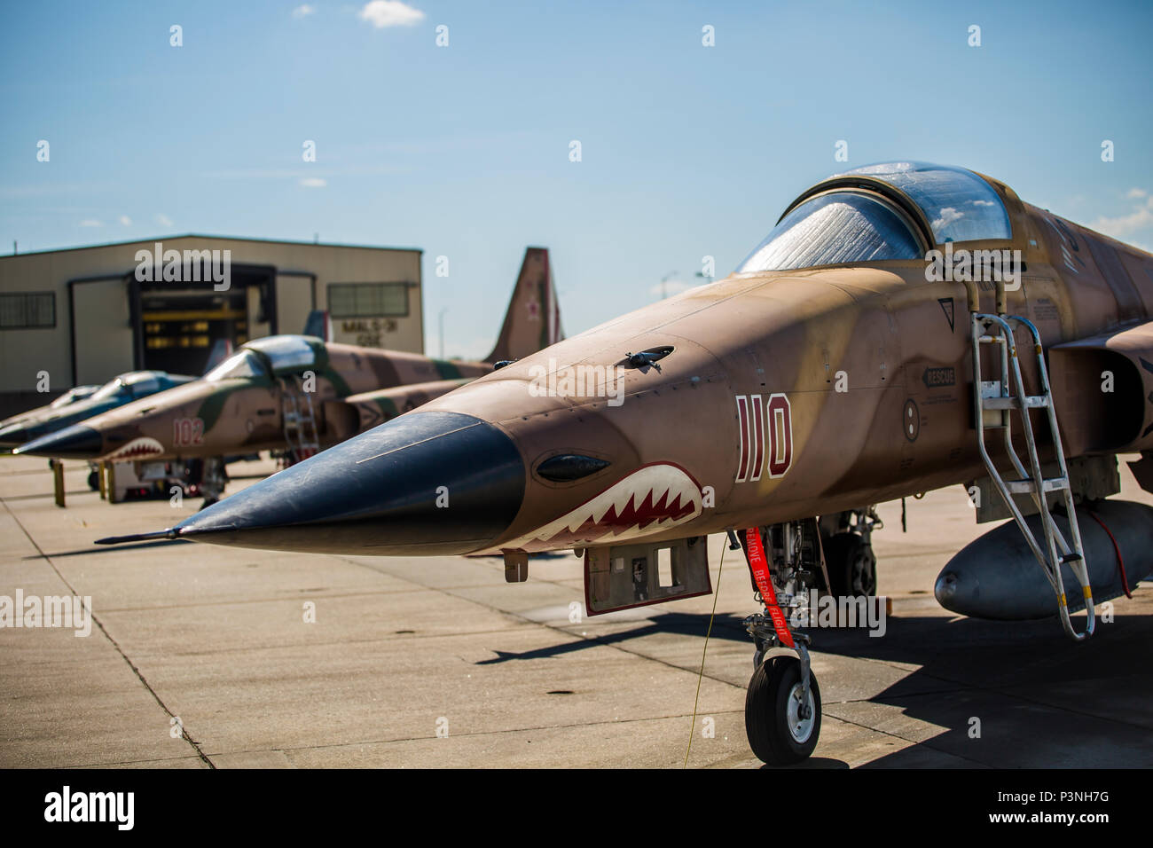 F-5N Tiger II aircraft rest on the flight line aboard Marine Corps Air ...