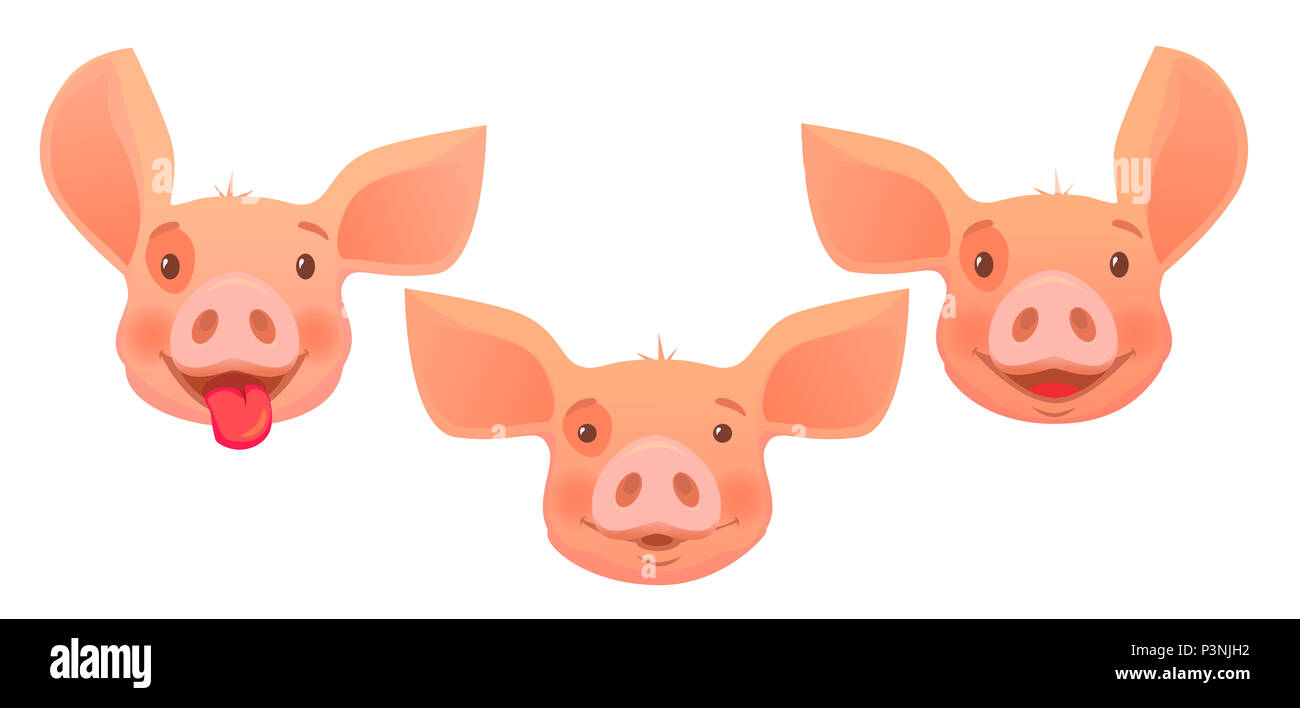 Cute pig cartoon. Collection of funny pig. Illustration set Stock Photo ...