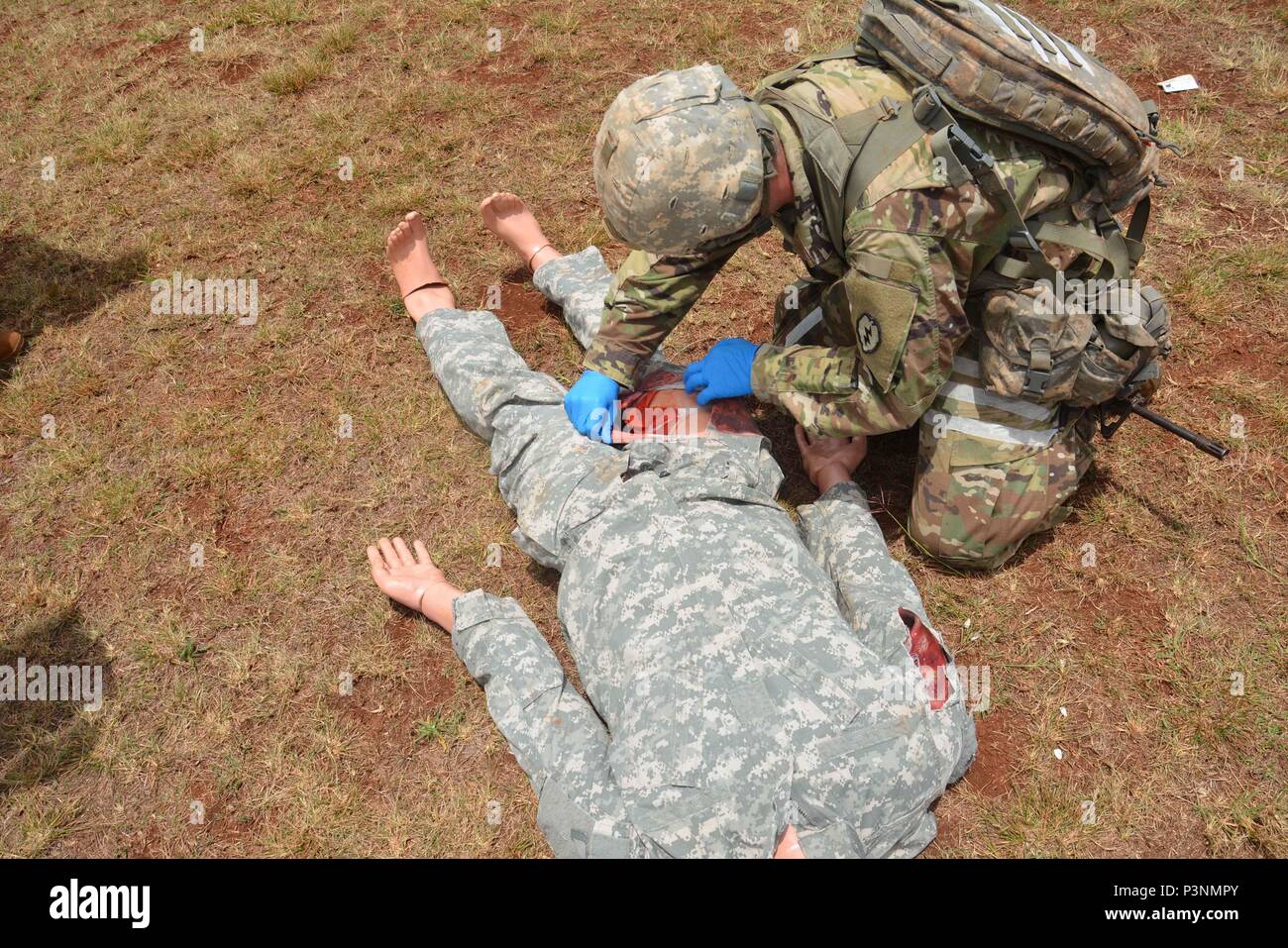 Csm holland hi-res stock photography and images - Alamy