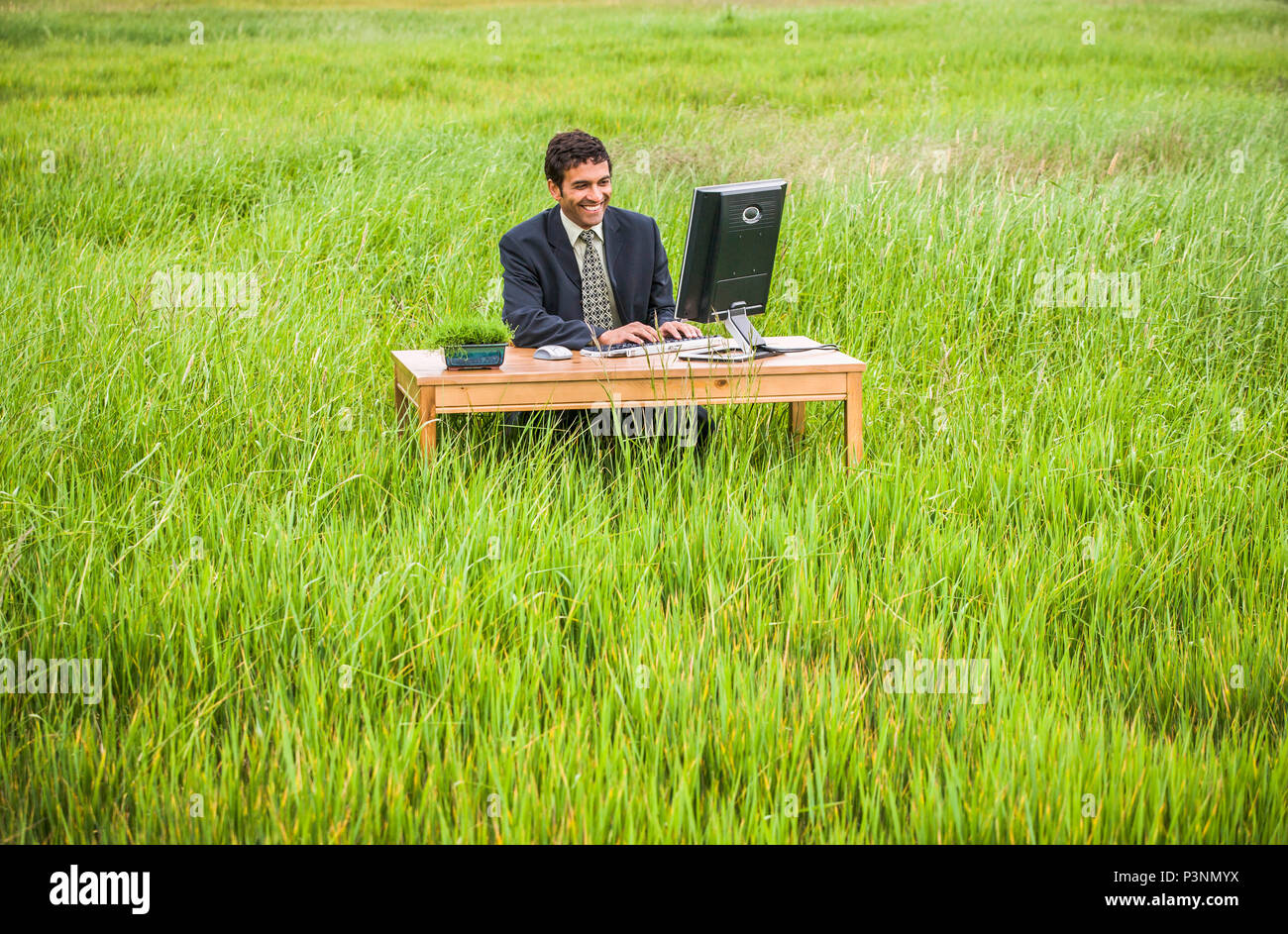 Office desk in grass field hi-res stock photography and images - Alamy