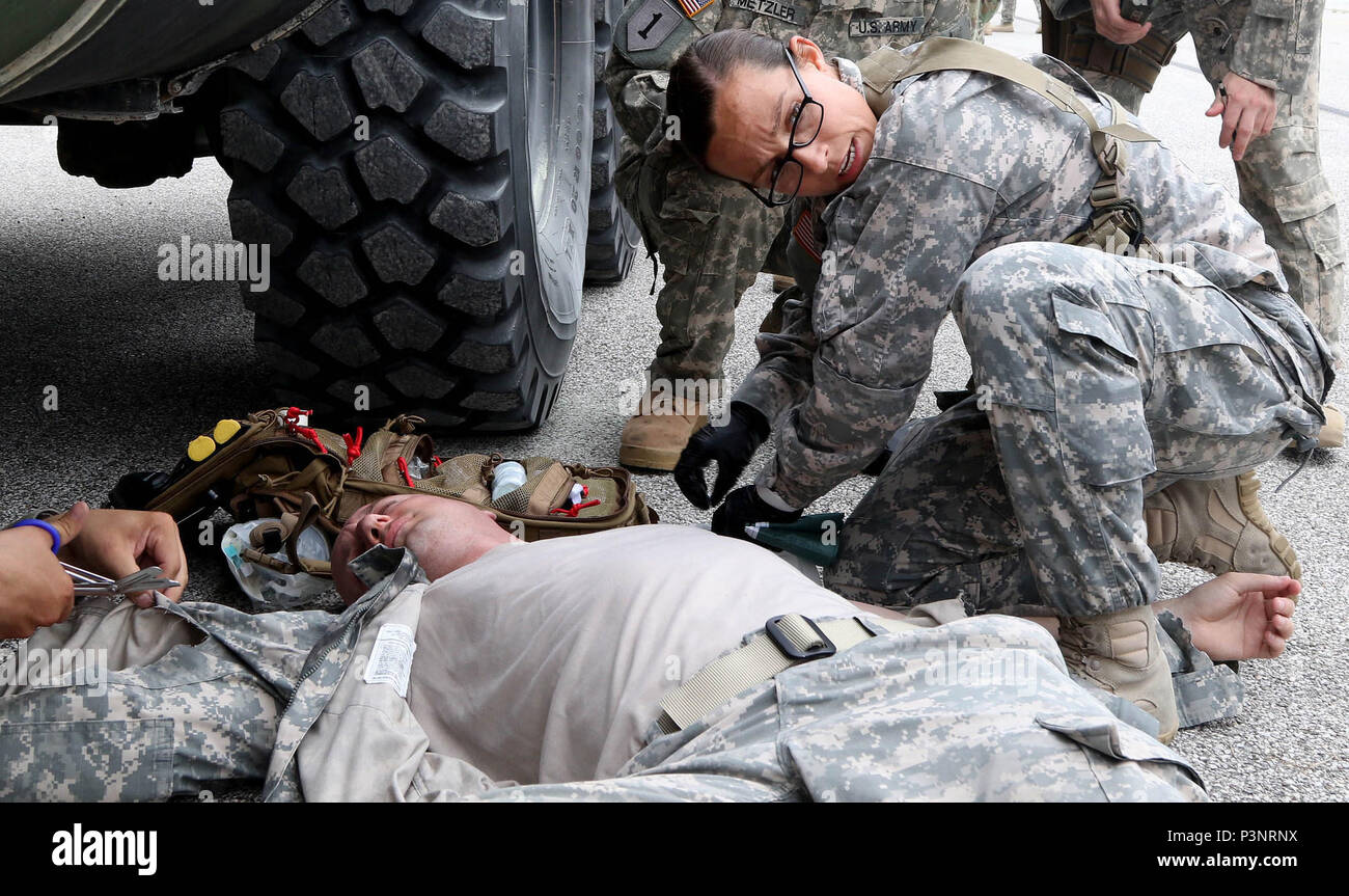 Redhawk hi-res stock photography and images - Alamy