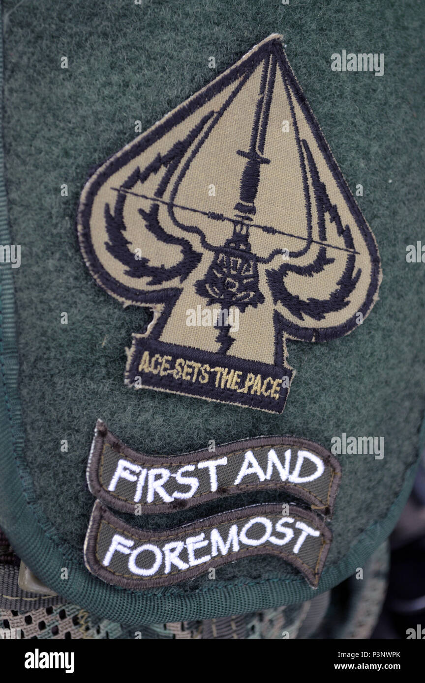 A patch worn by a Soldier assigned to the 9th Infantry Brigade, 6th ...