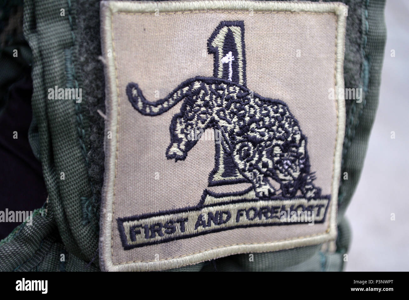 A patch worn by a Soldier assigned to the 9th Infantry Brigade, 6th ...