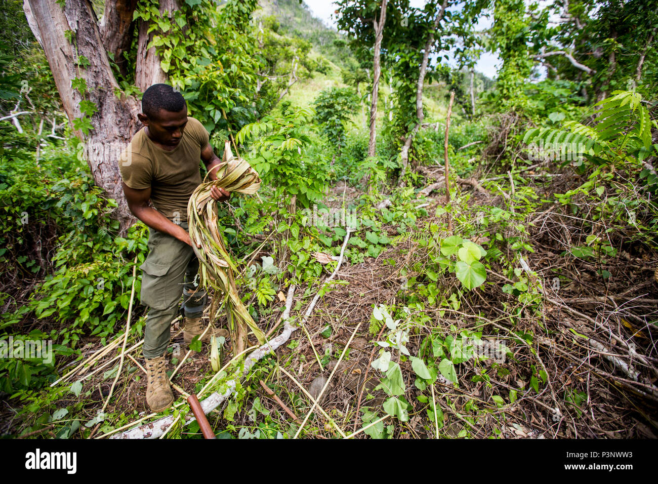 Republic of Fiji Military Forces Soldier Pvt. M. Aganisimai collects ...