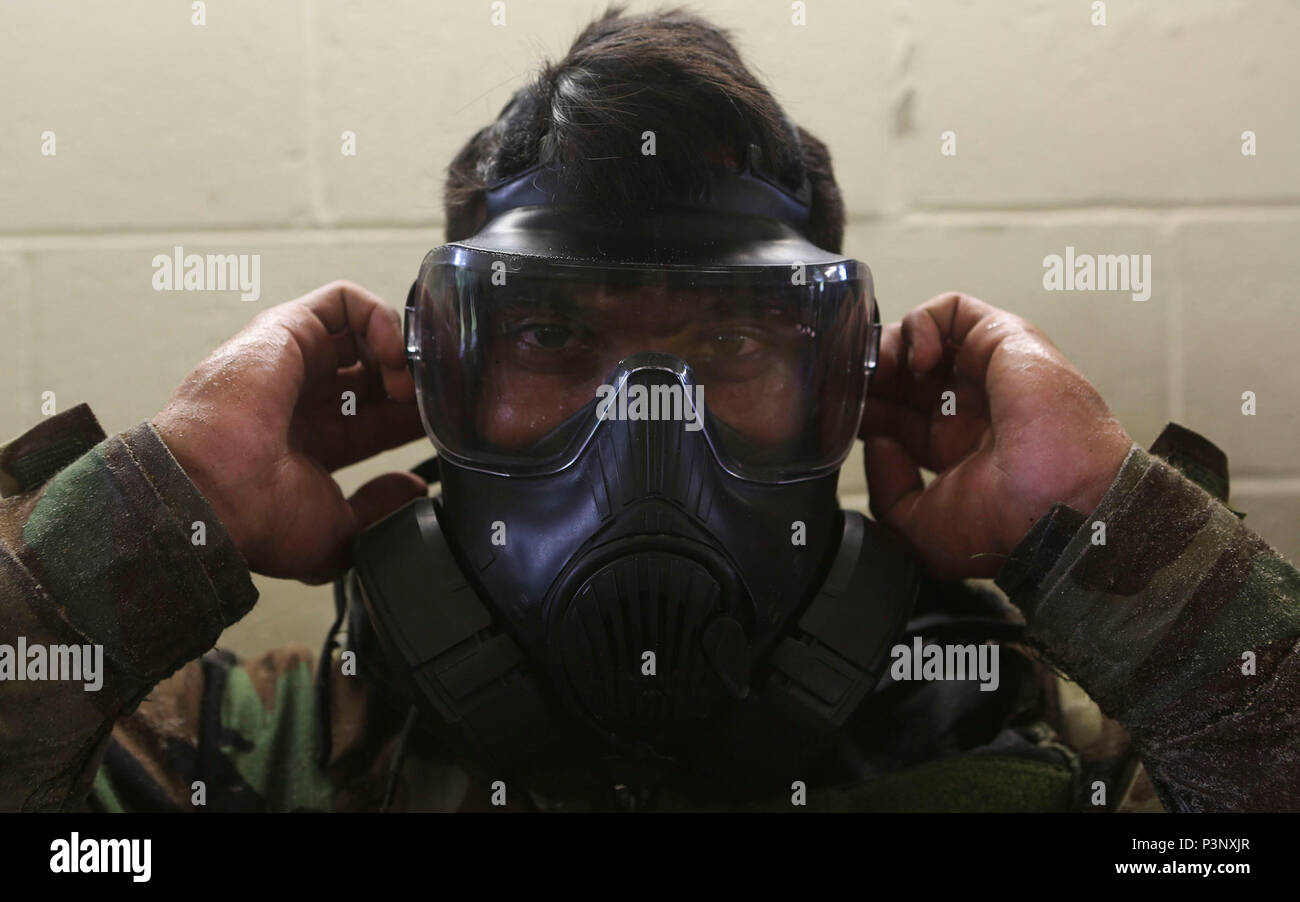 M50 joint service general purpose gas mask hi-res stock photography and ...
