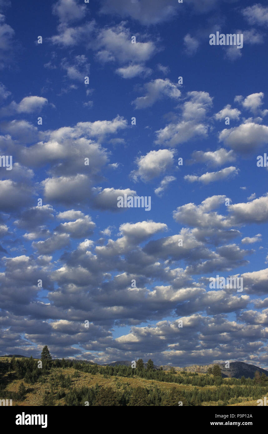 Cumulus clouds, Shields Valley, Montana Stock Photo - Alamy