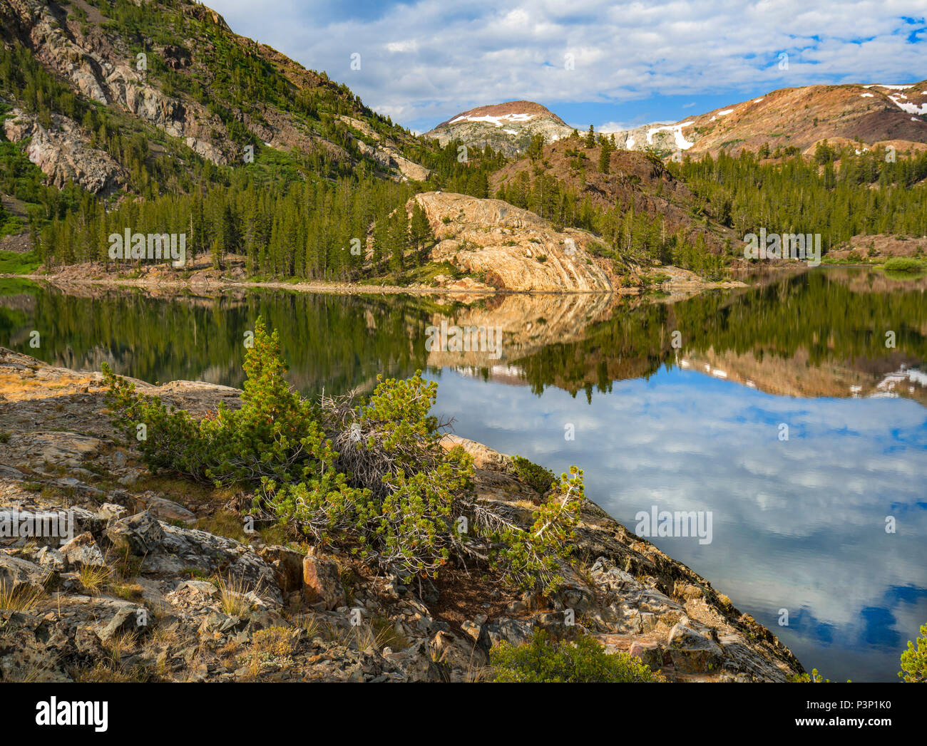 Dana Plateau from Ellery Lake, Sierra Nevada, Inyo National Forest ...