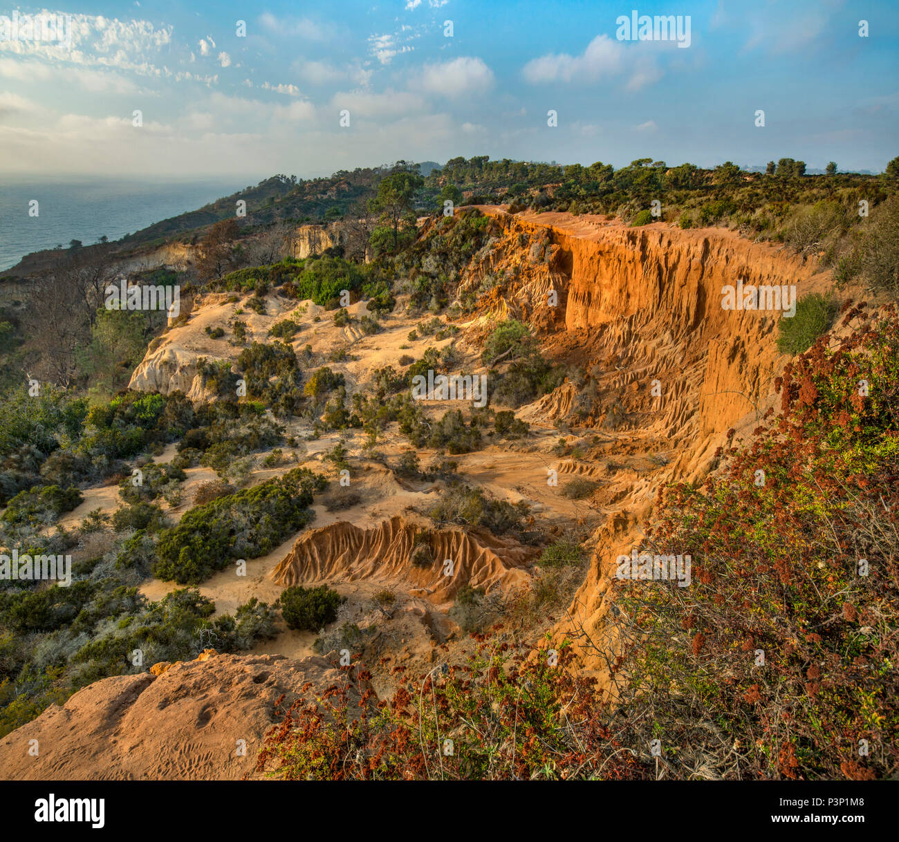 Limestone cliffs, Torrey Pines State Natural Reserve, California Stock ...