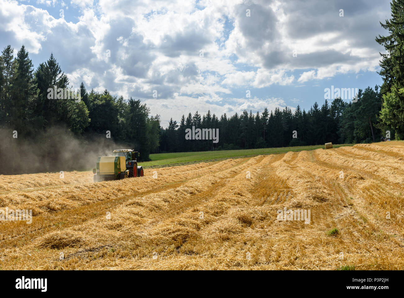 Tractor on field - harvesting the corn Stock Photo - Alamy