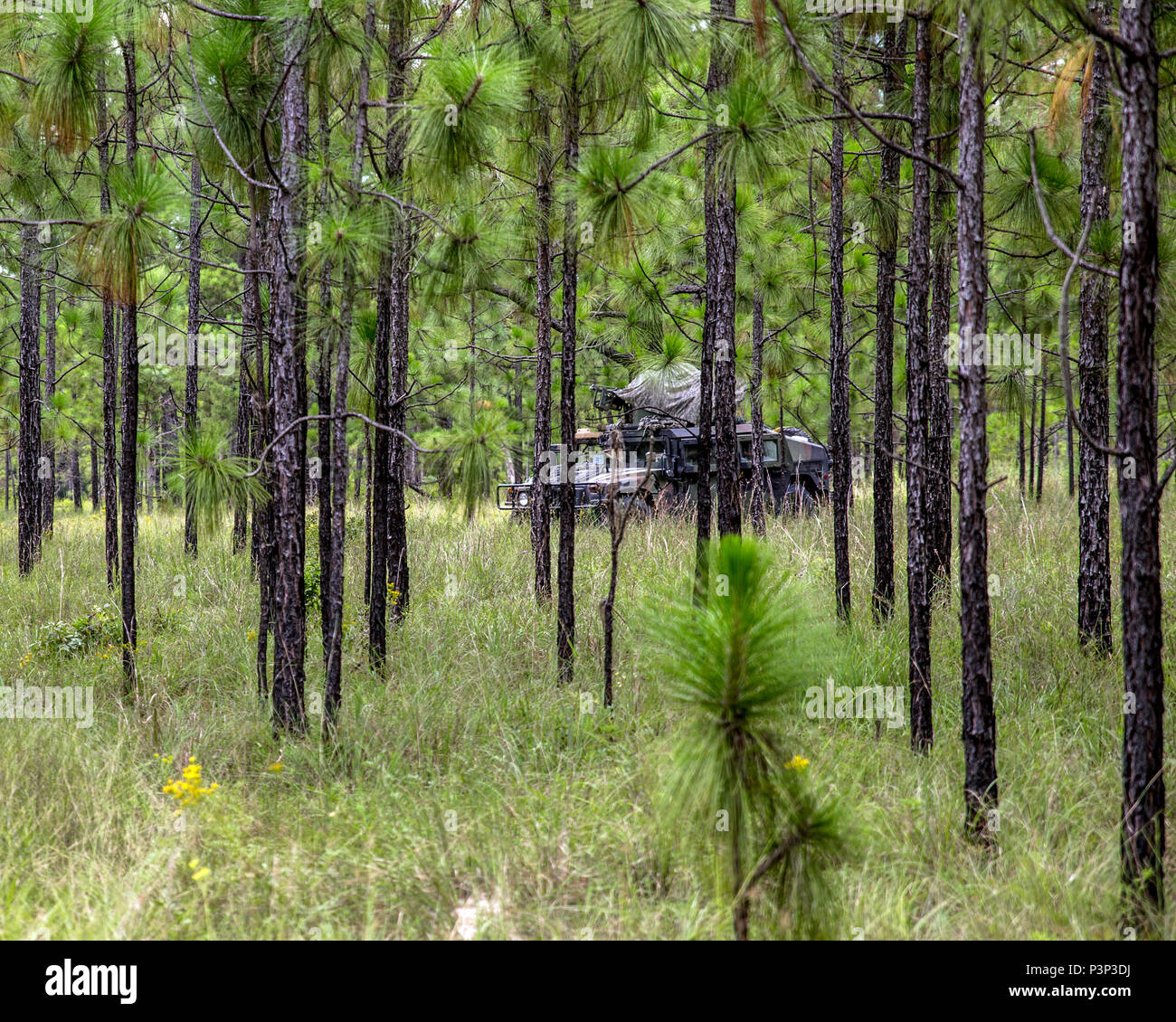 B 2 101 cav hi-res stock photography and images - Alamy