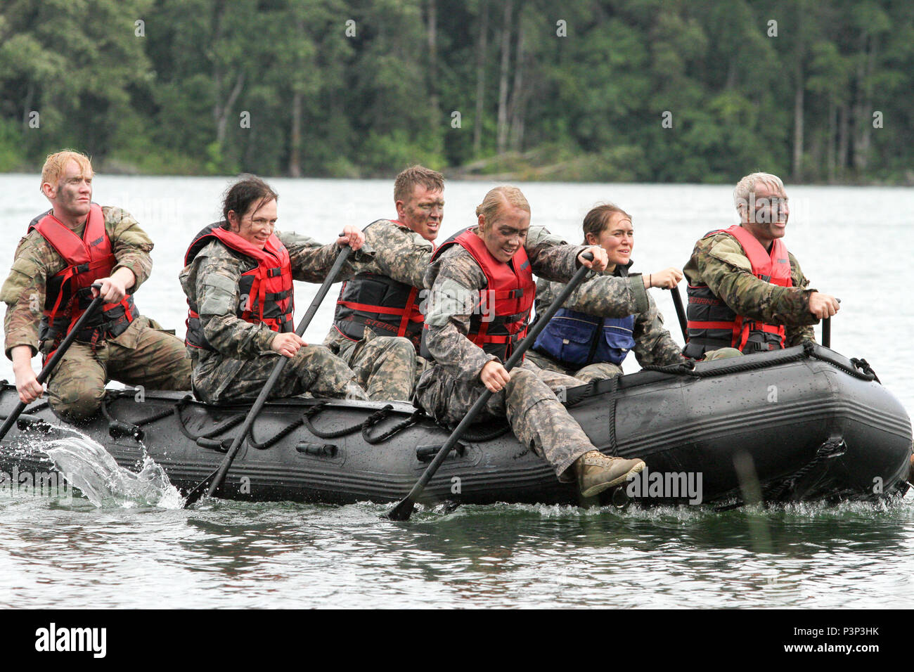308th Brigade Support Battalion High Resolution Stock Photography and ...