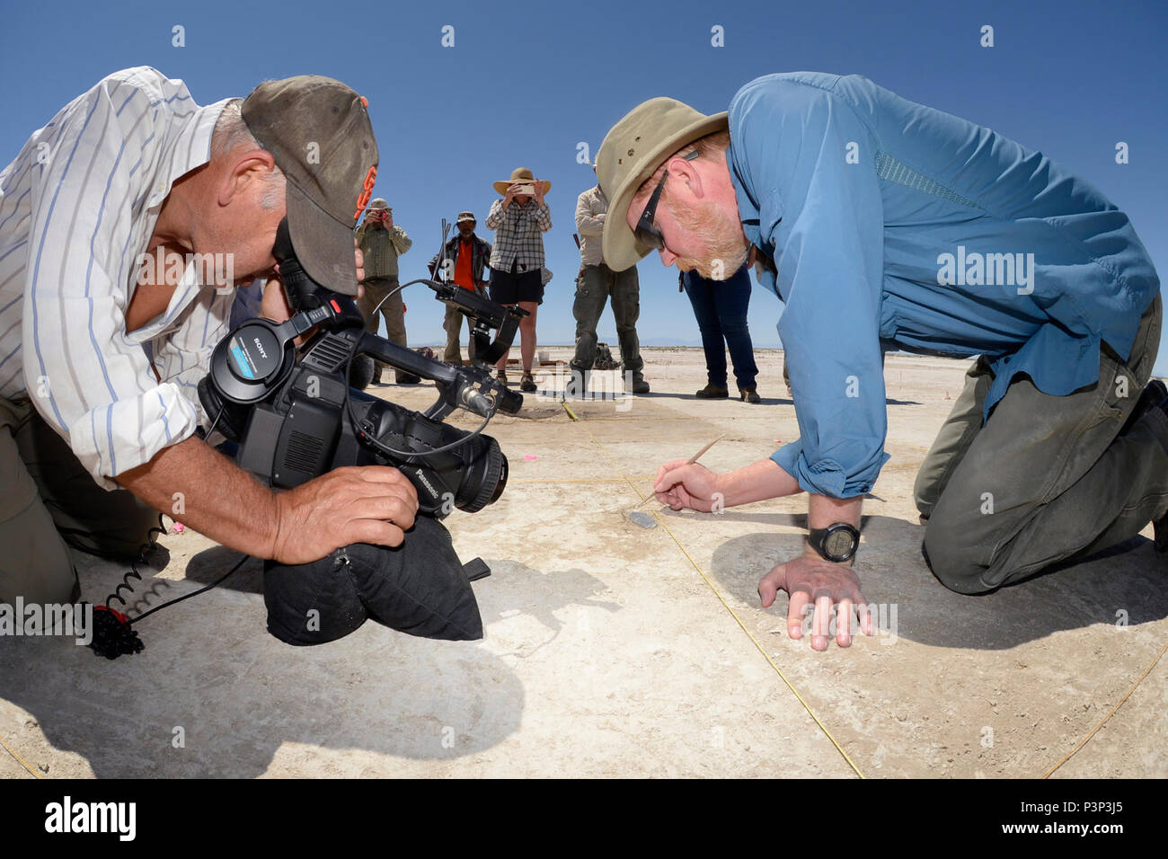 Early anthropological hi-res stock photography and images - Alamy