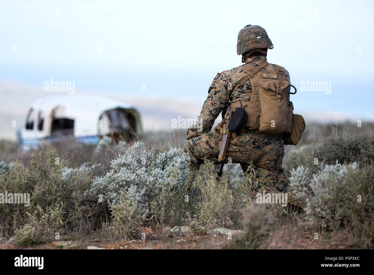 United States Marine Corps officer First Lieutenant Will Cortez from ...