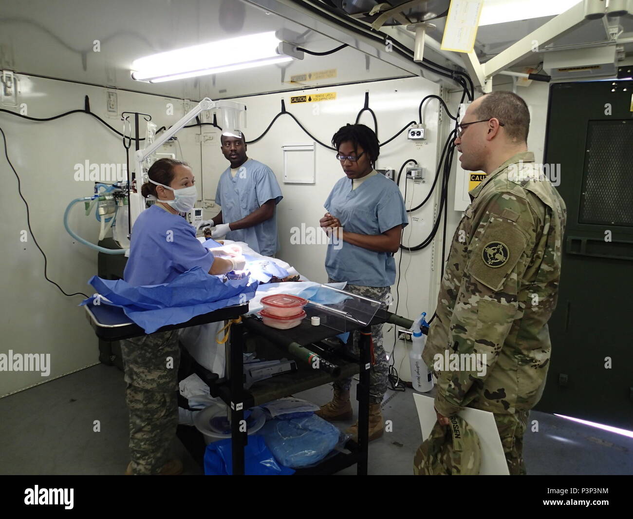 Col. Nelson Rosen, commander for the 338th Medical Brigade out of ...