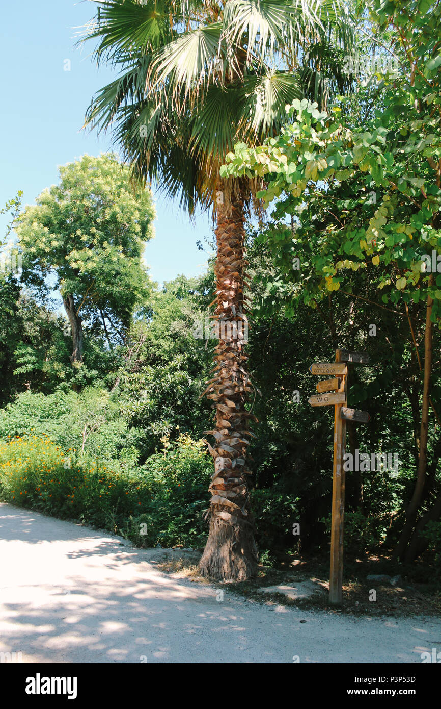 Green trees and direction signs at Athens National Garden in Athens ...