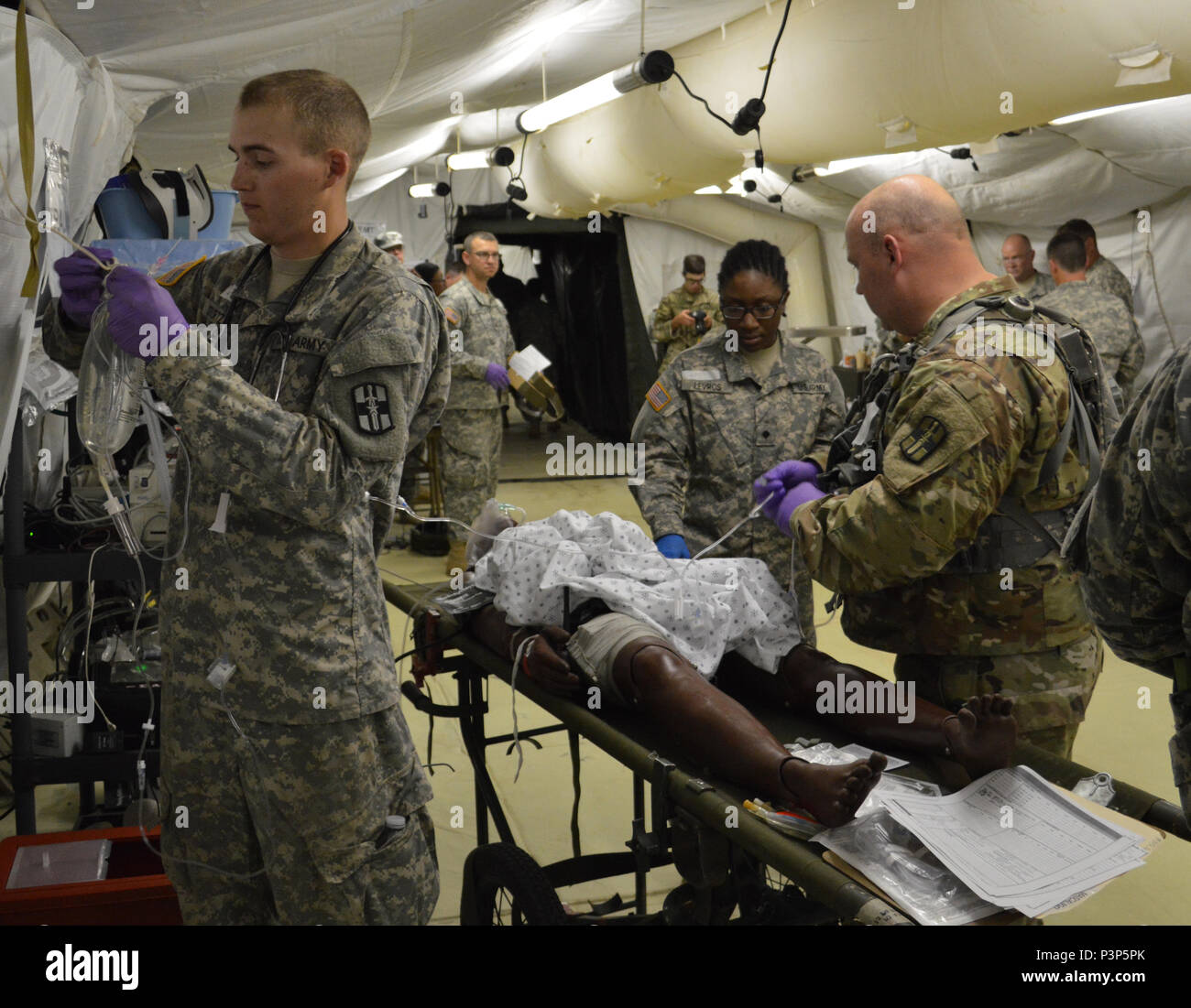 452nd Combat Support Hospital High Resolution Stock Photography and ...