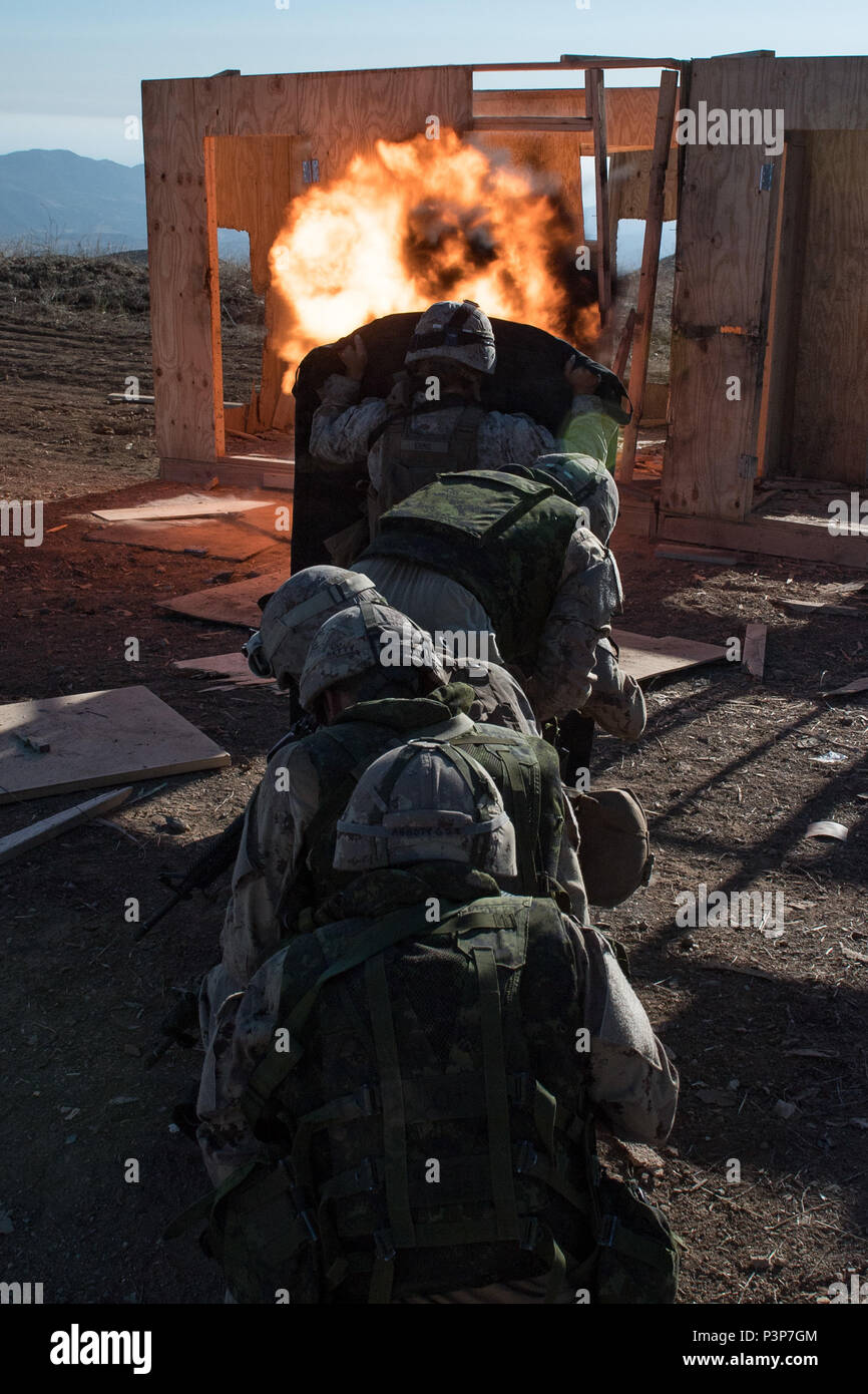 Breaching blanket hi-res stock photography and images - Alamy