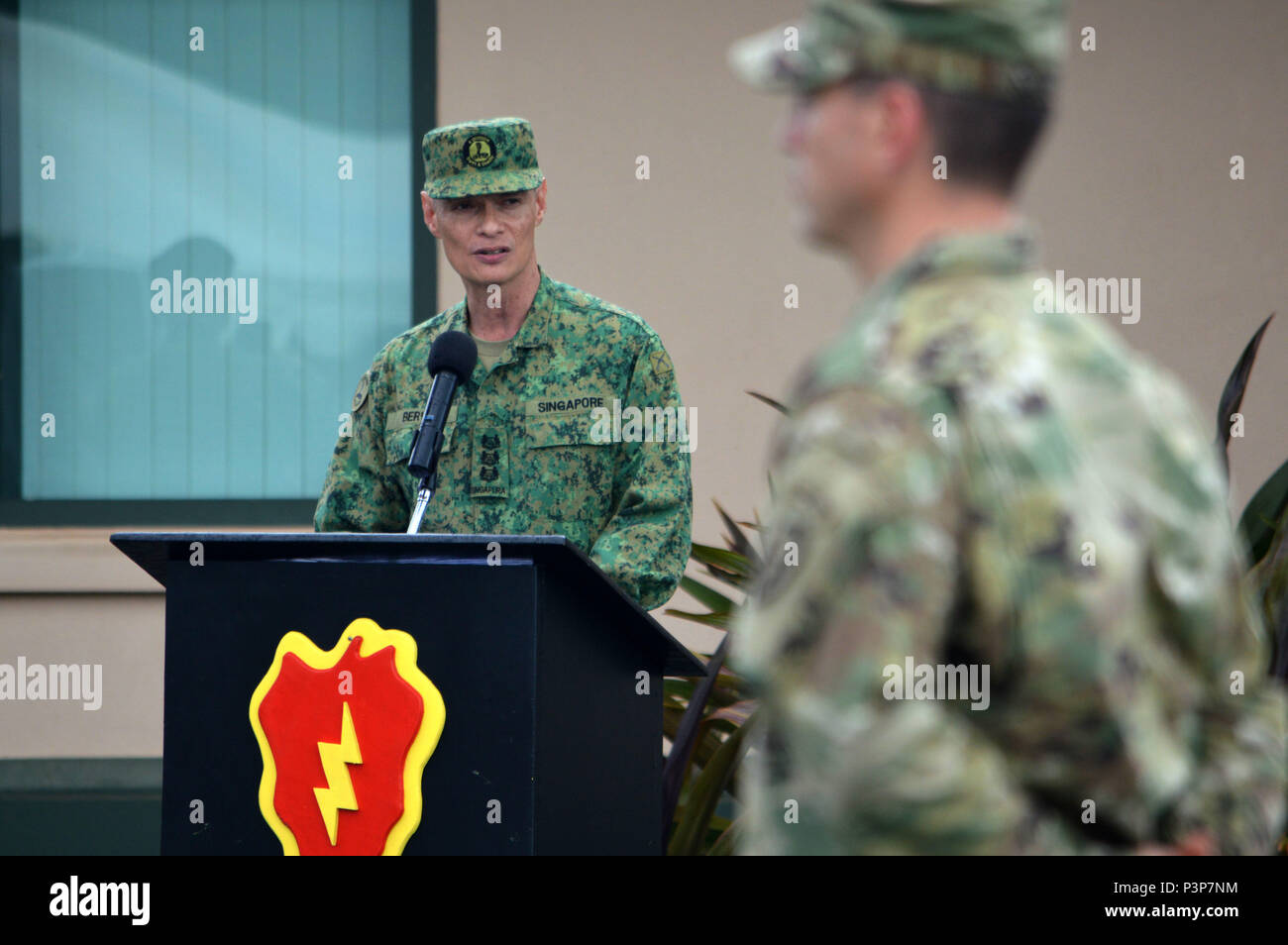 Col. Bervyn Lee, commander, 9th Infantry Brigade, 6th Division ...