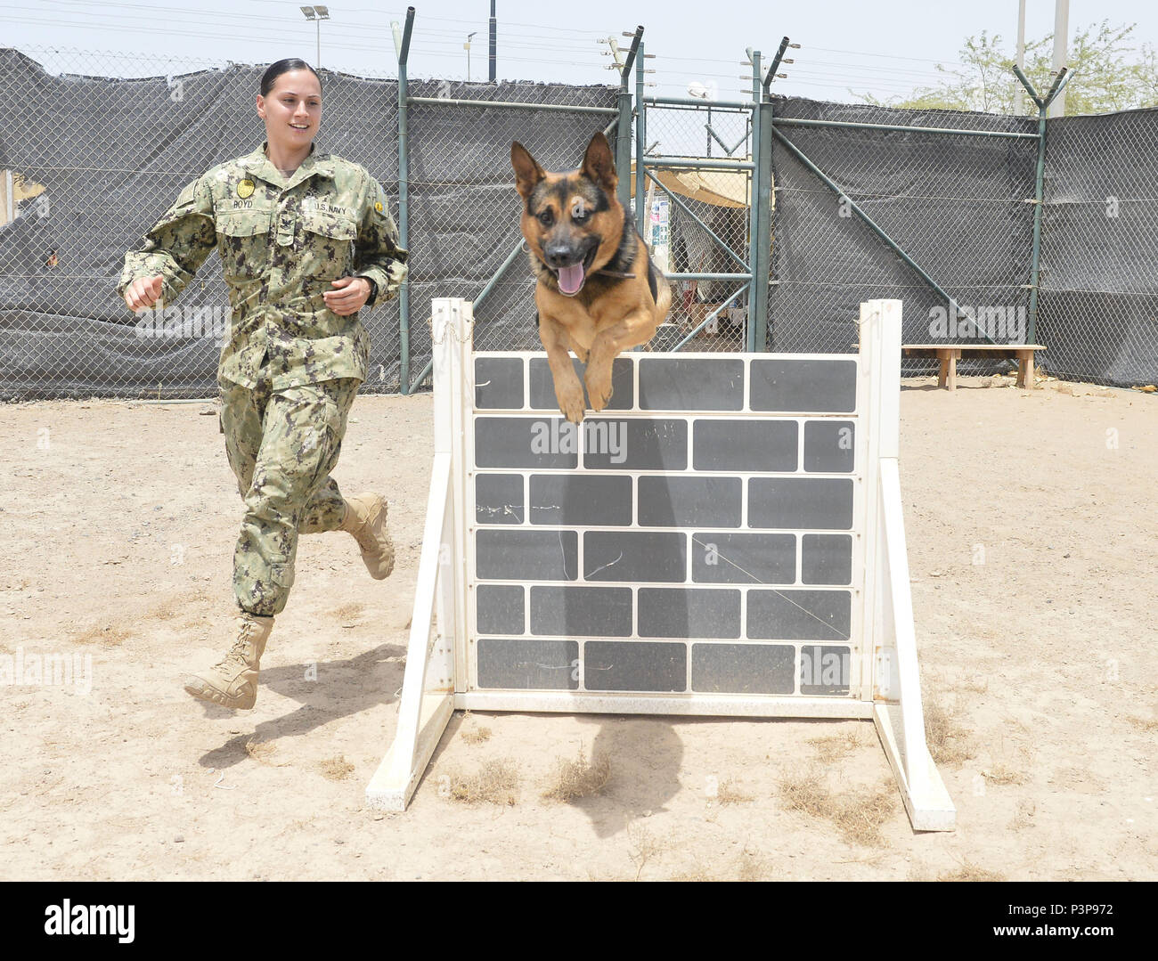 Boyd arms hi-res stock photography and images - Alamy