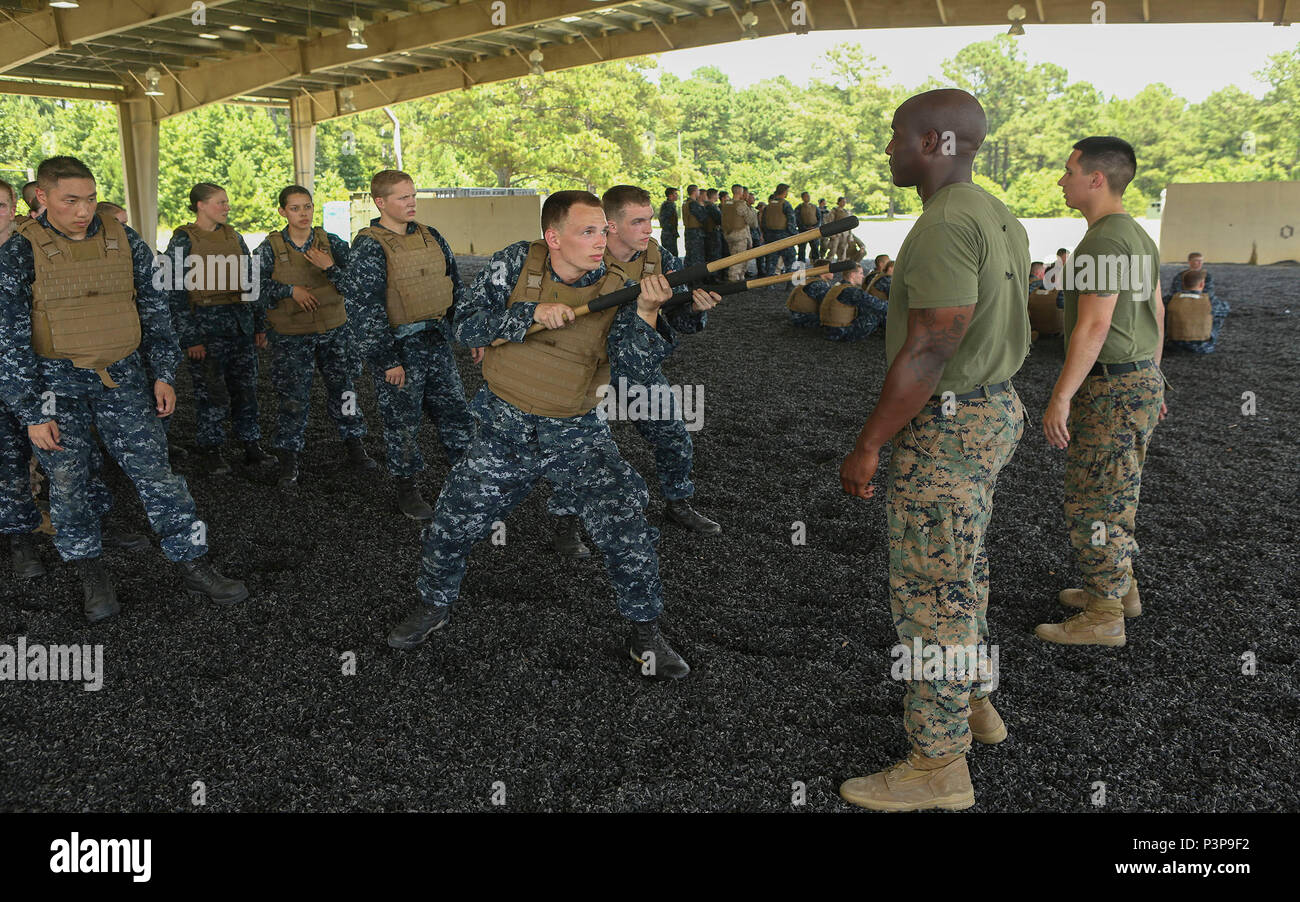 Camp Devil Dog High Resolution Stock Photography and Images - Alamy