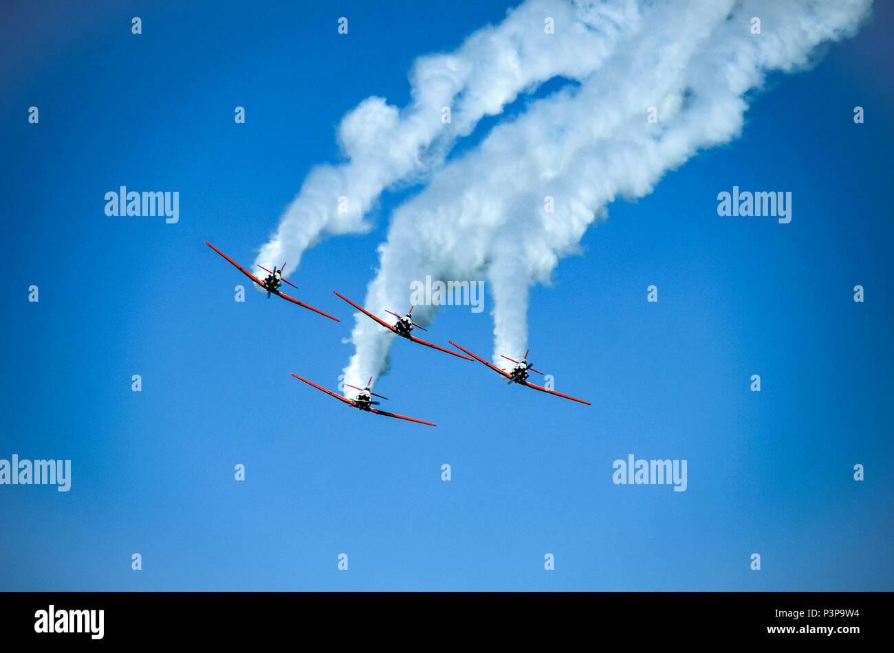 The Aeroshell Demo Team flies T-6 airplanes during the South Carolina ...