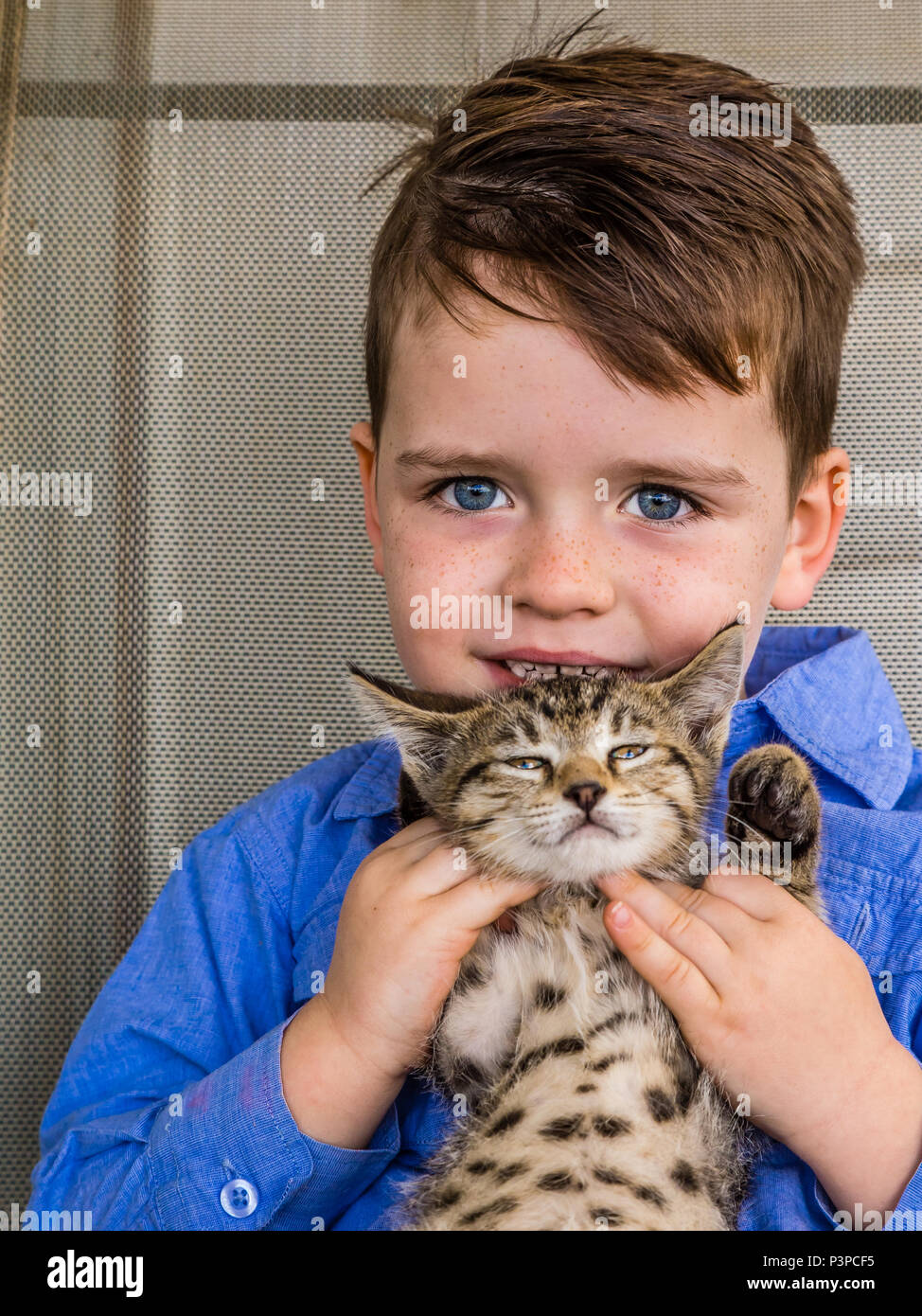 Boy cuddle cat hi-res stock photography and images - Alamy