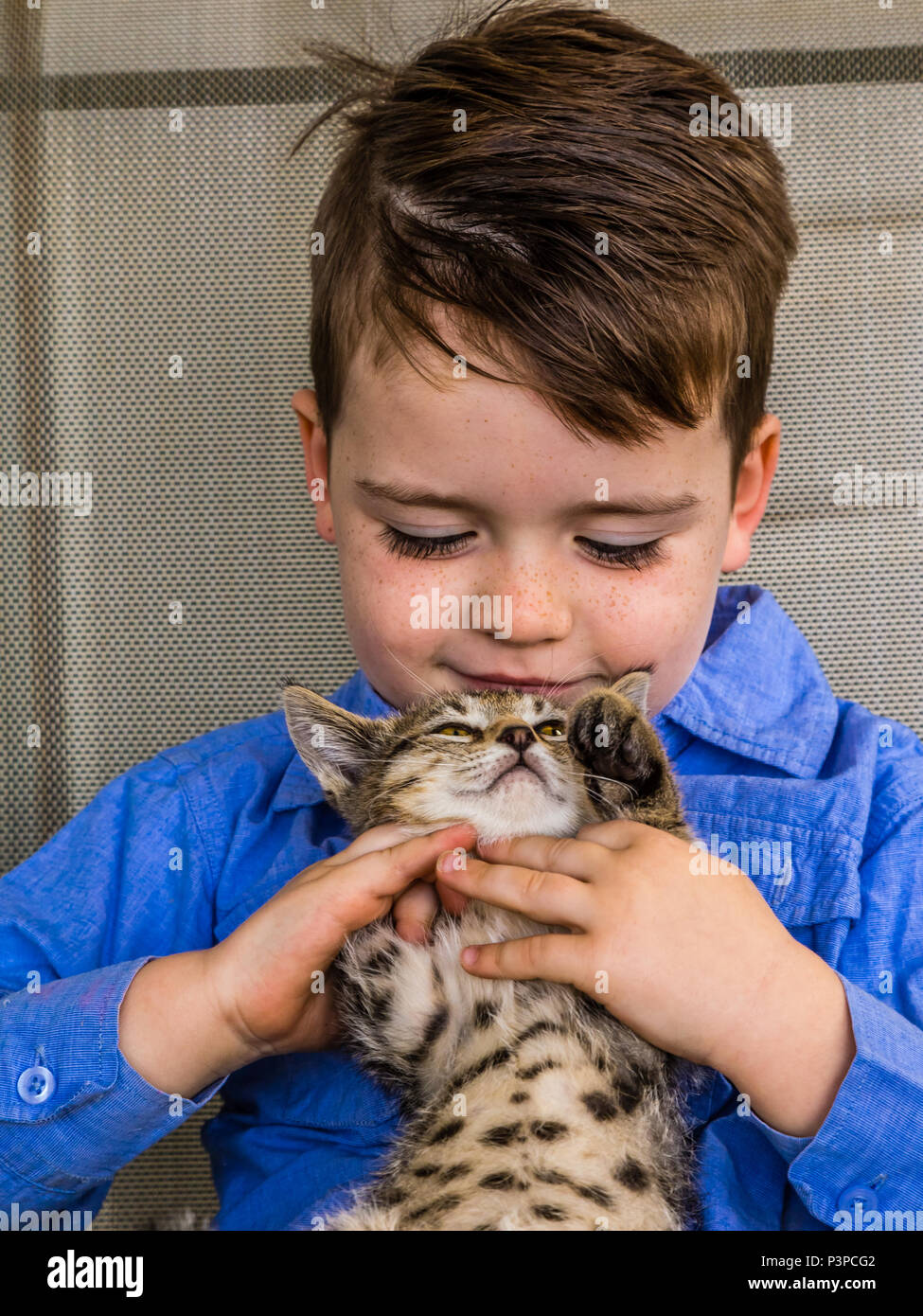 Boy cuddle cat hi-res stock photography and images - Alamy