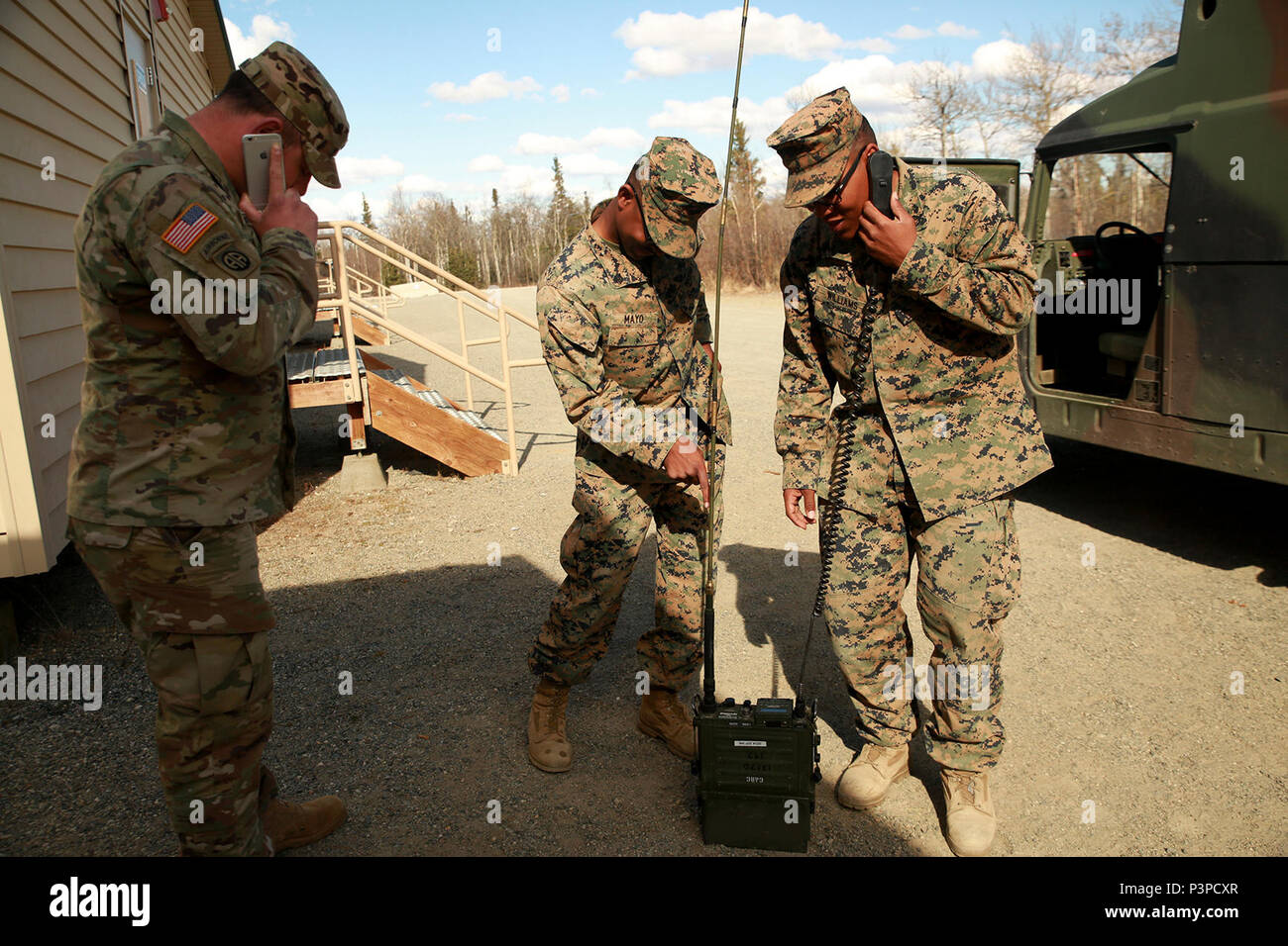 Marines with 5th Air Naval Gunfire Liaison Company, III Marine ...
