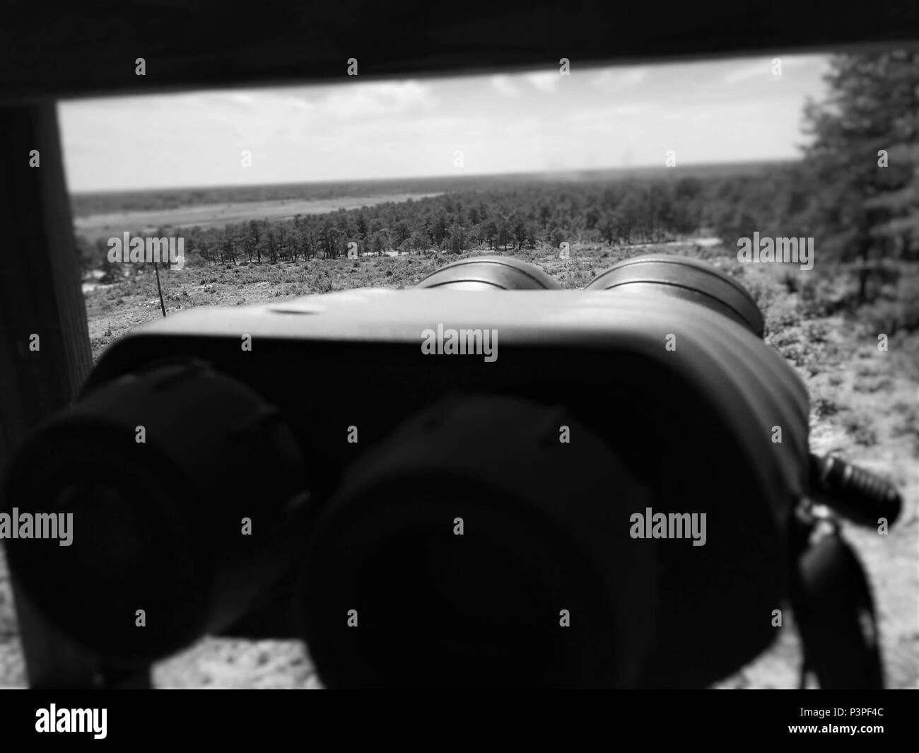 Photo by U.S. Army Staff Sgt. Steven Littlefield, 1st Battalion 101st ...