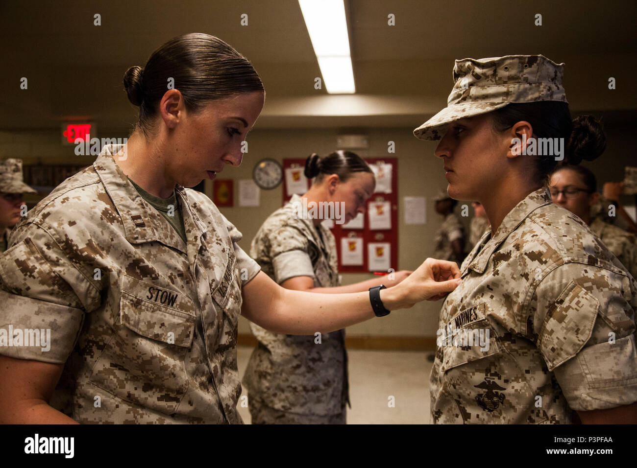 Platoon commanders inspection hi-res stock photography and images - Alamy