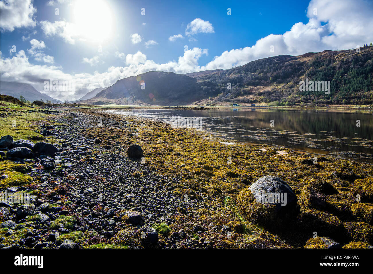 The rocky shoreline of Loch Sunart in the Highlands of Scotland. View ...