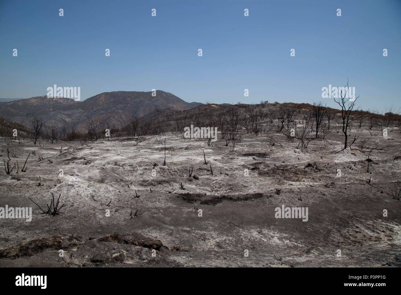 Recently affected areas due to the Roblar Fire on Camp Pendleton, Calif ...