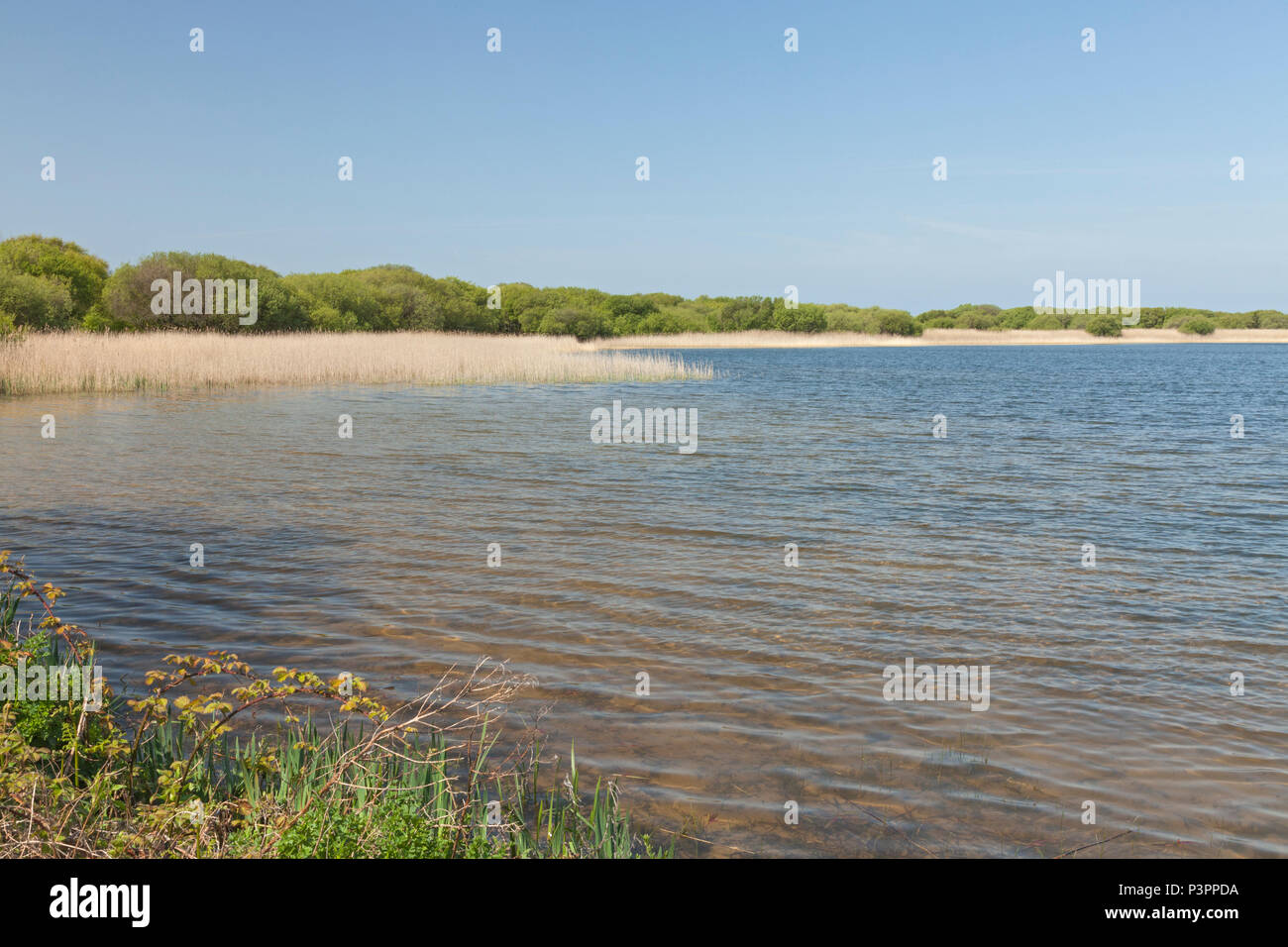 Kenfig Pool, Kenfig National Nature Reserve, Ton Kenfig, Bridgend ...