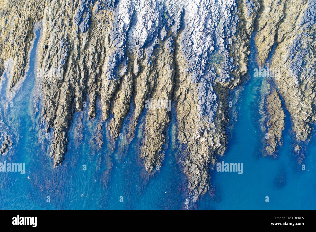Spur and groove basalt shore, Brier Island, Bay of Fundy, Nova Scotia ...