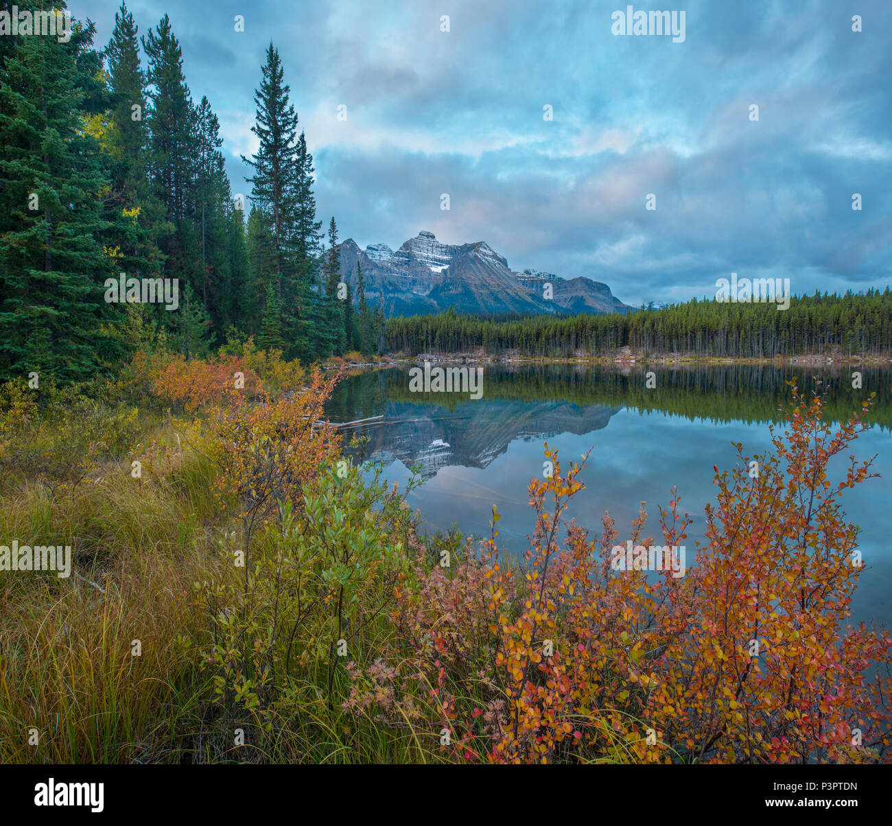Bow Range at Herbert Lake, Rocky Mountains, Banff National Park ...