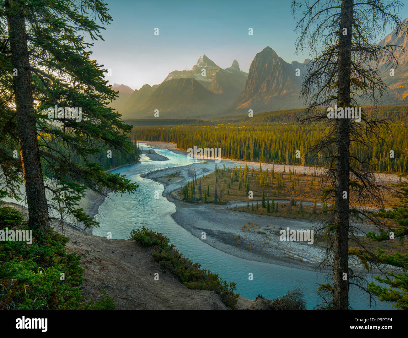 Mount Christie and Brussels Peak from Athabasca River, Jasper National ...