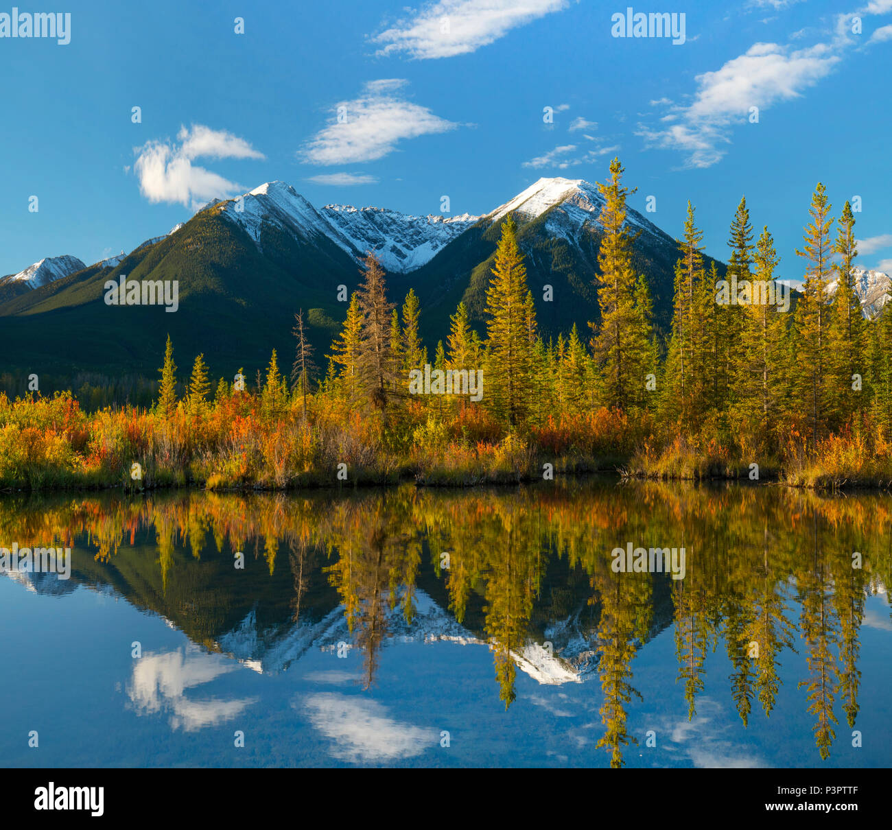 Taiga lakes hi-res stock photography and images - Alamy