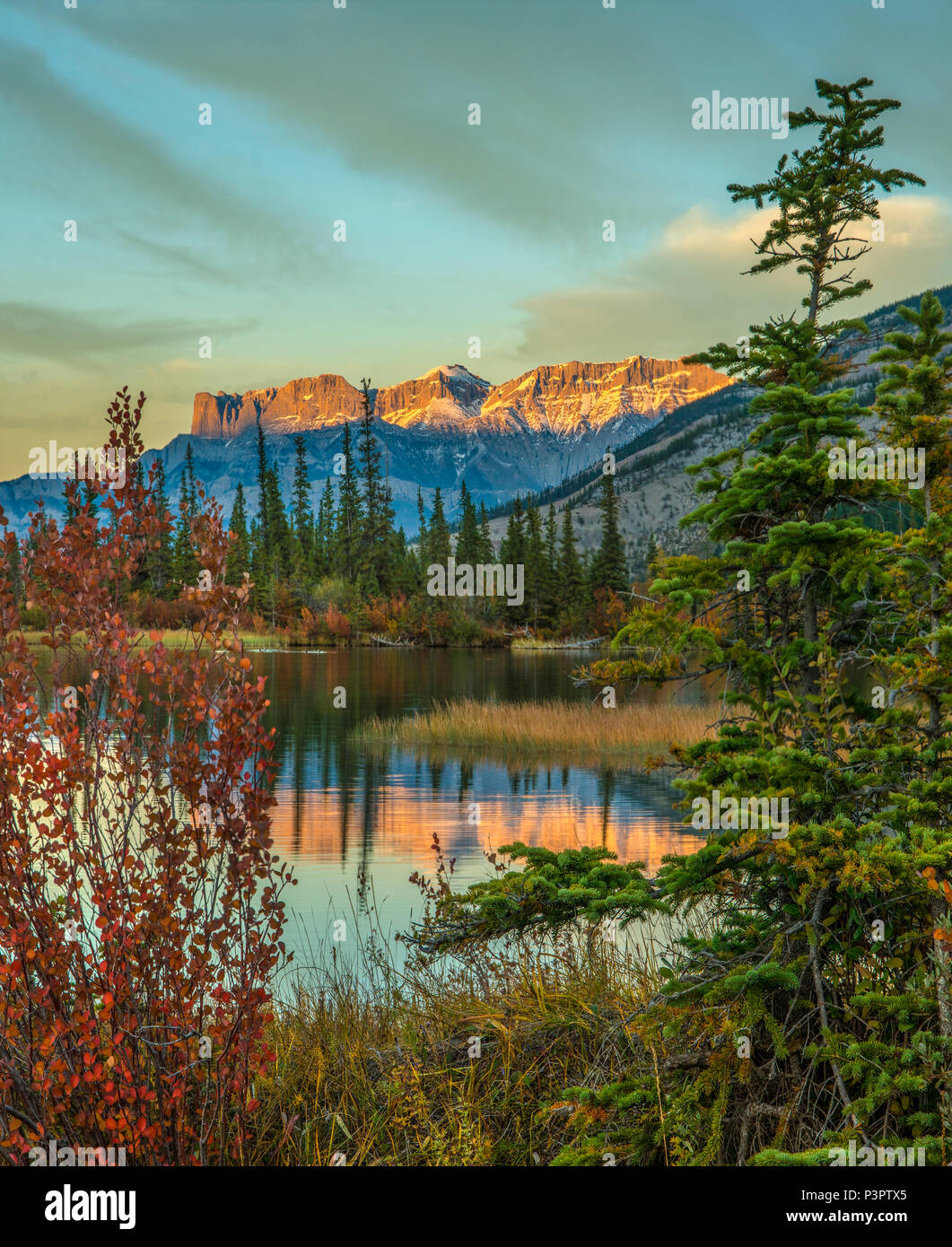 Syncline Ridge and Miette Range from Moberly Flats, Jasper National ...