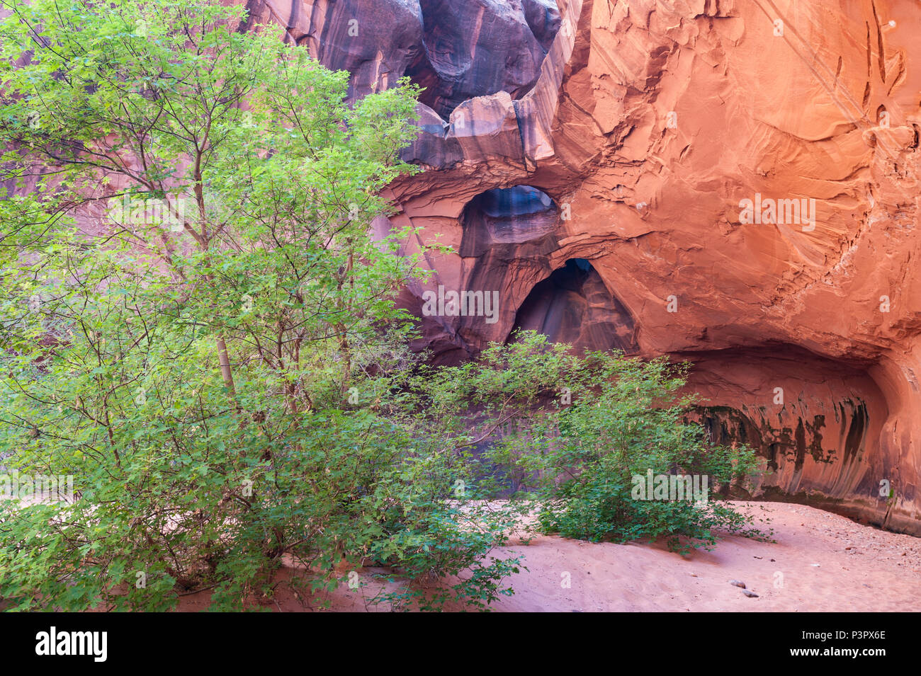 Hole in rock cliff, Golden Cathedral in Neon Canyon, Grand Staircase ...