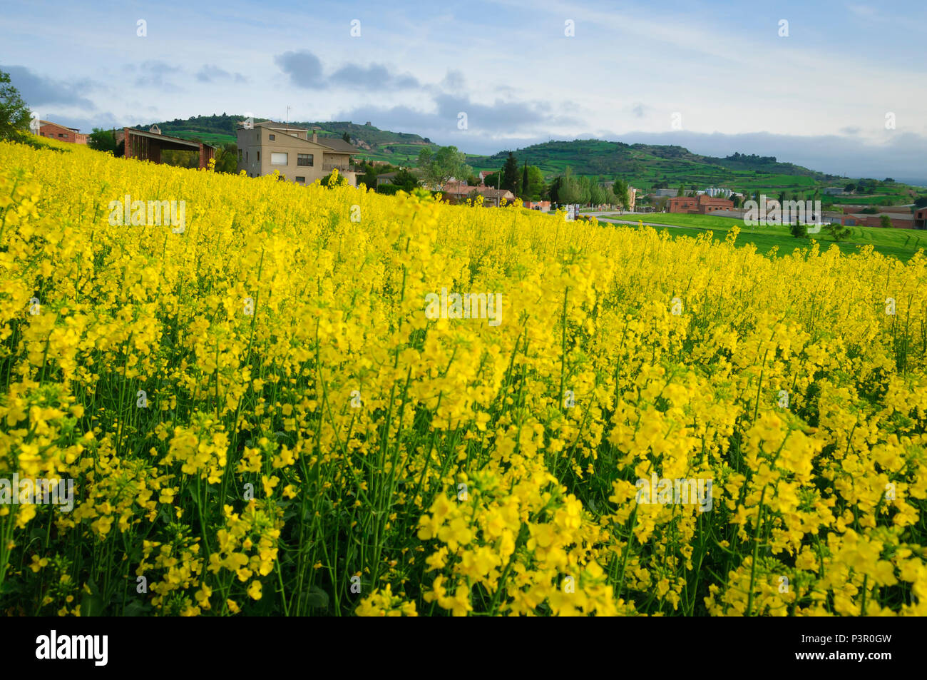 Rural landscape in catalonia hi-res stock photography and images - Alamy