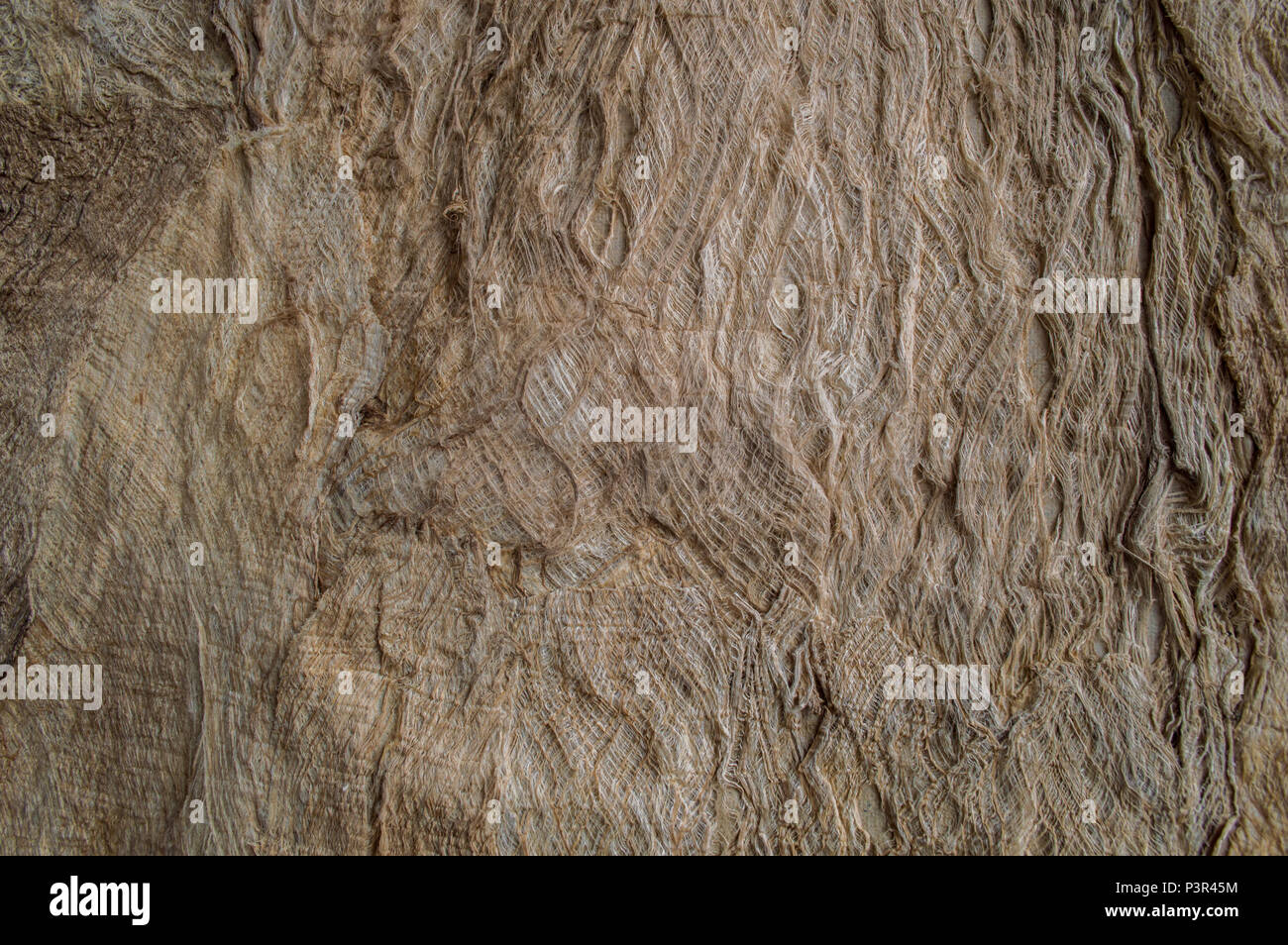 Wood paper texture Stock Photo - Alamy