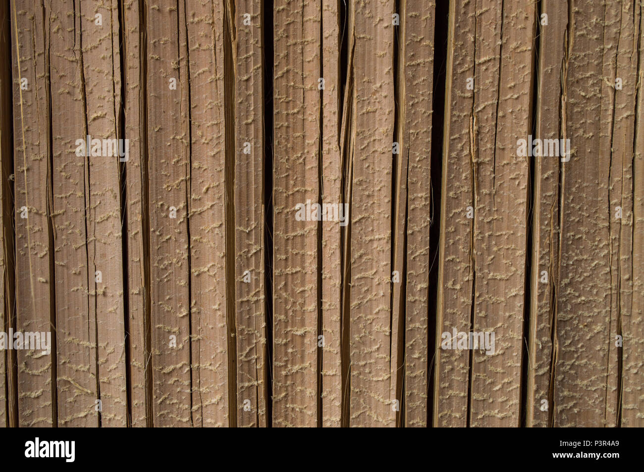 Brown bamboo hi-res stock photography and images - Alamy