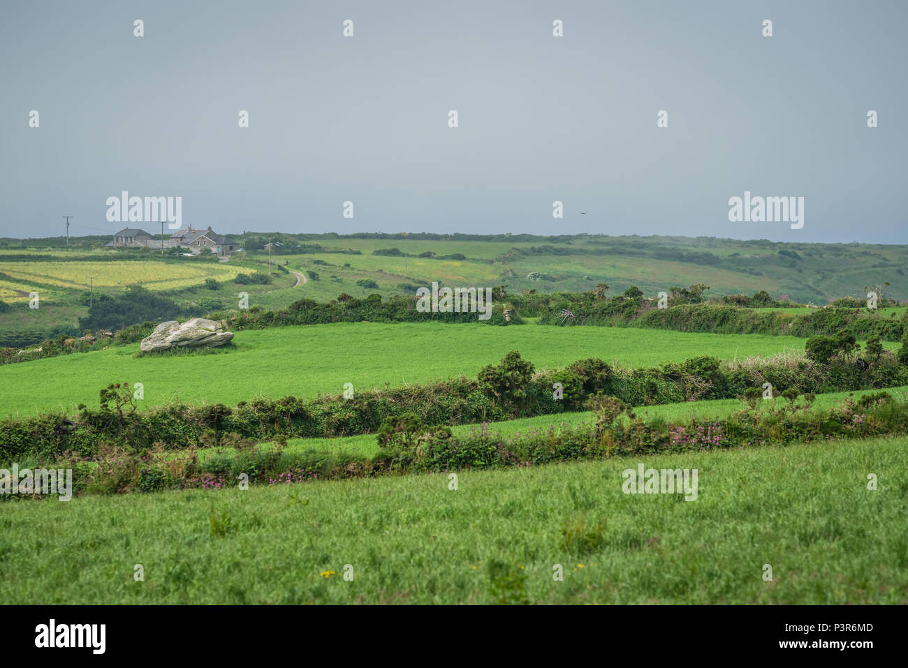 Landscape of the green rural Cornish hillside fields, Cornwall, England ...