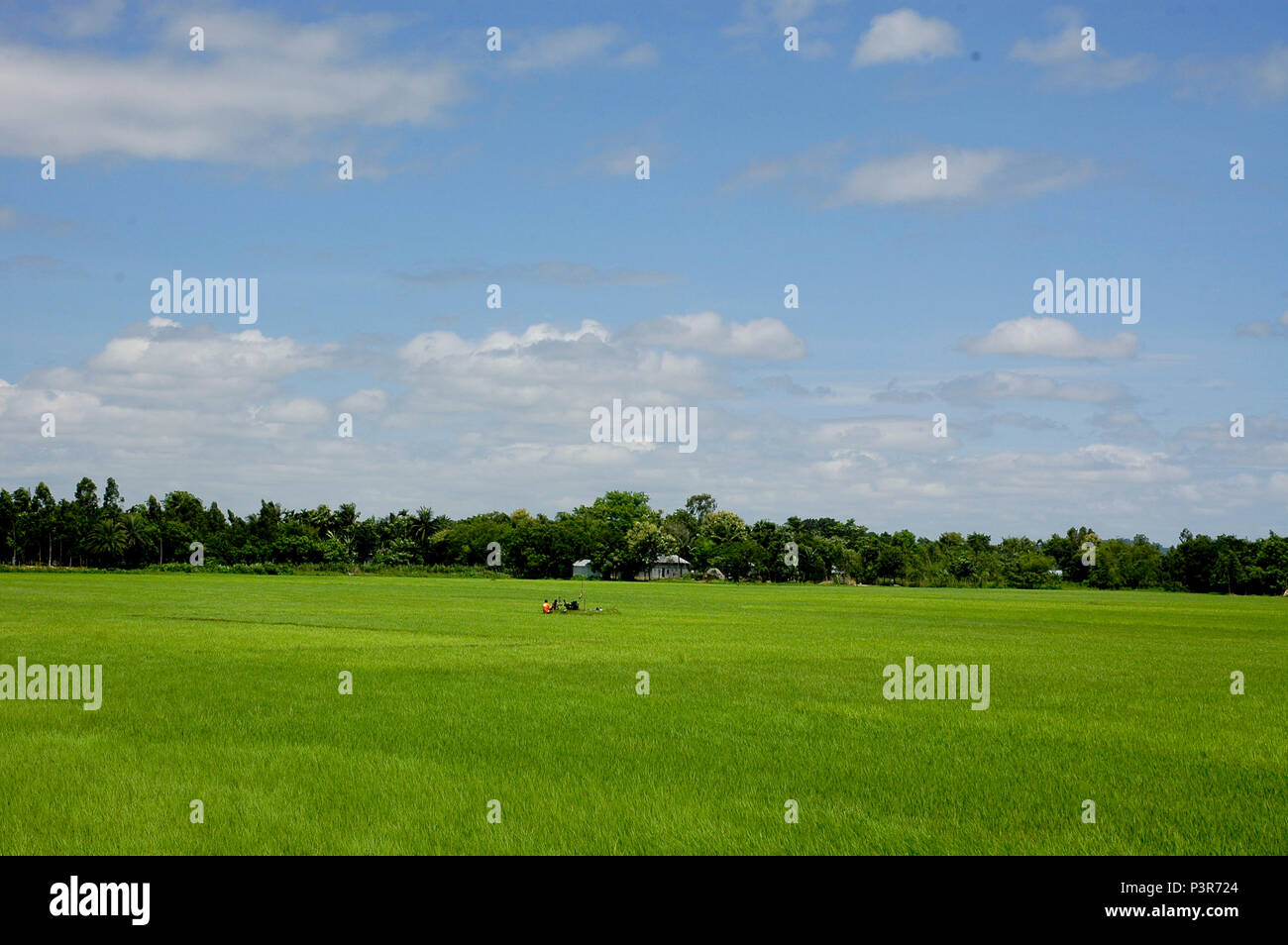 Jamalpur hi-res stock photography and images - Alamy